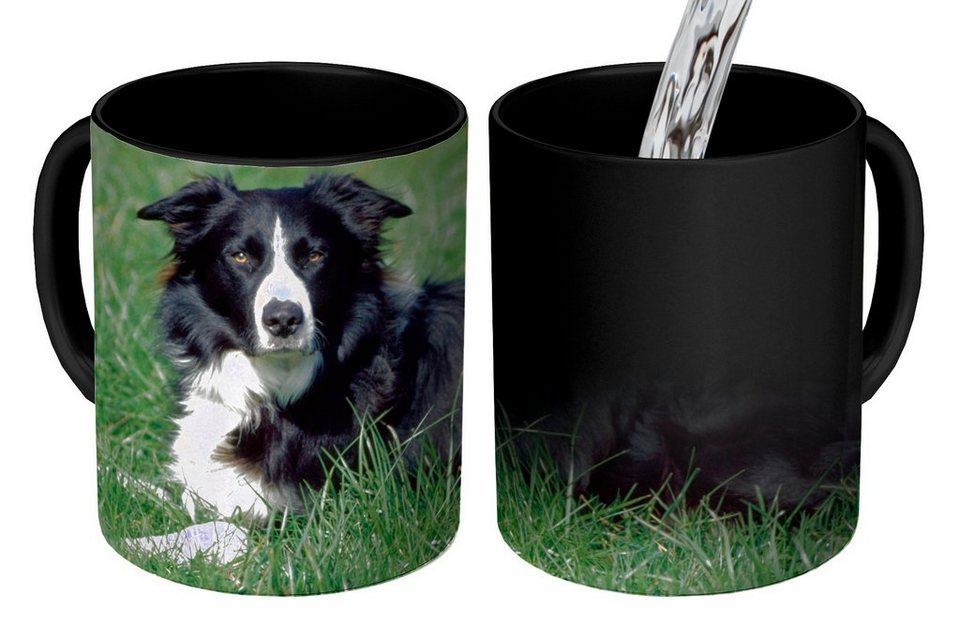MuchoWow Tasse »Border Collie liegt im hohen grünen Gras«, Keramik ... MuchoWow Tasse »Border Collie liegt im hohen grünen Gras«, Keramik ...