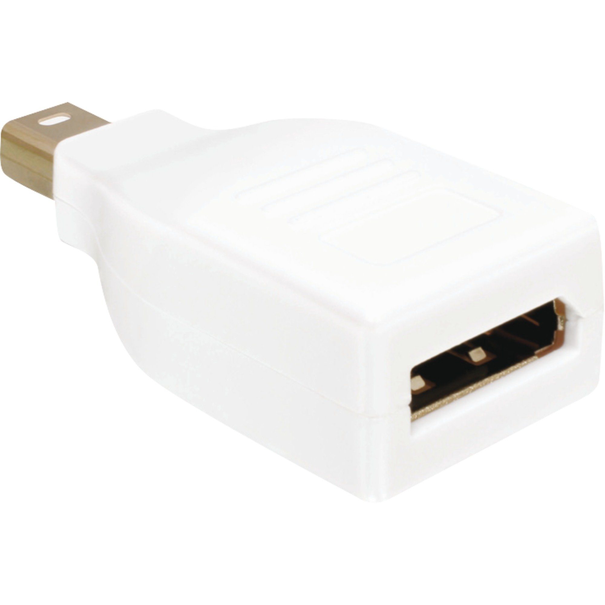 Delock Adapter Mini DisplayPort auf DisplayPort Adapter, Anschlüsse: 1x ...