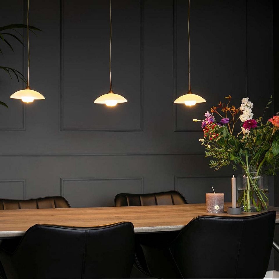 Steinhauer Lighting Led Pendelleuchte Hängeleuchte Pendellampe
