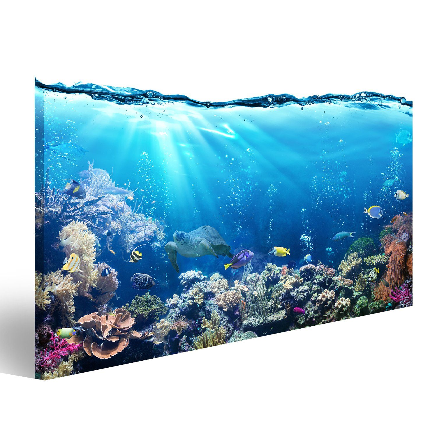 islandburner Leinwandbild Bild auf Leinwand Unterwasser Szene Riff Und Tropischen Fischen Wandb