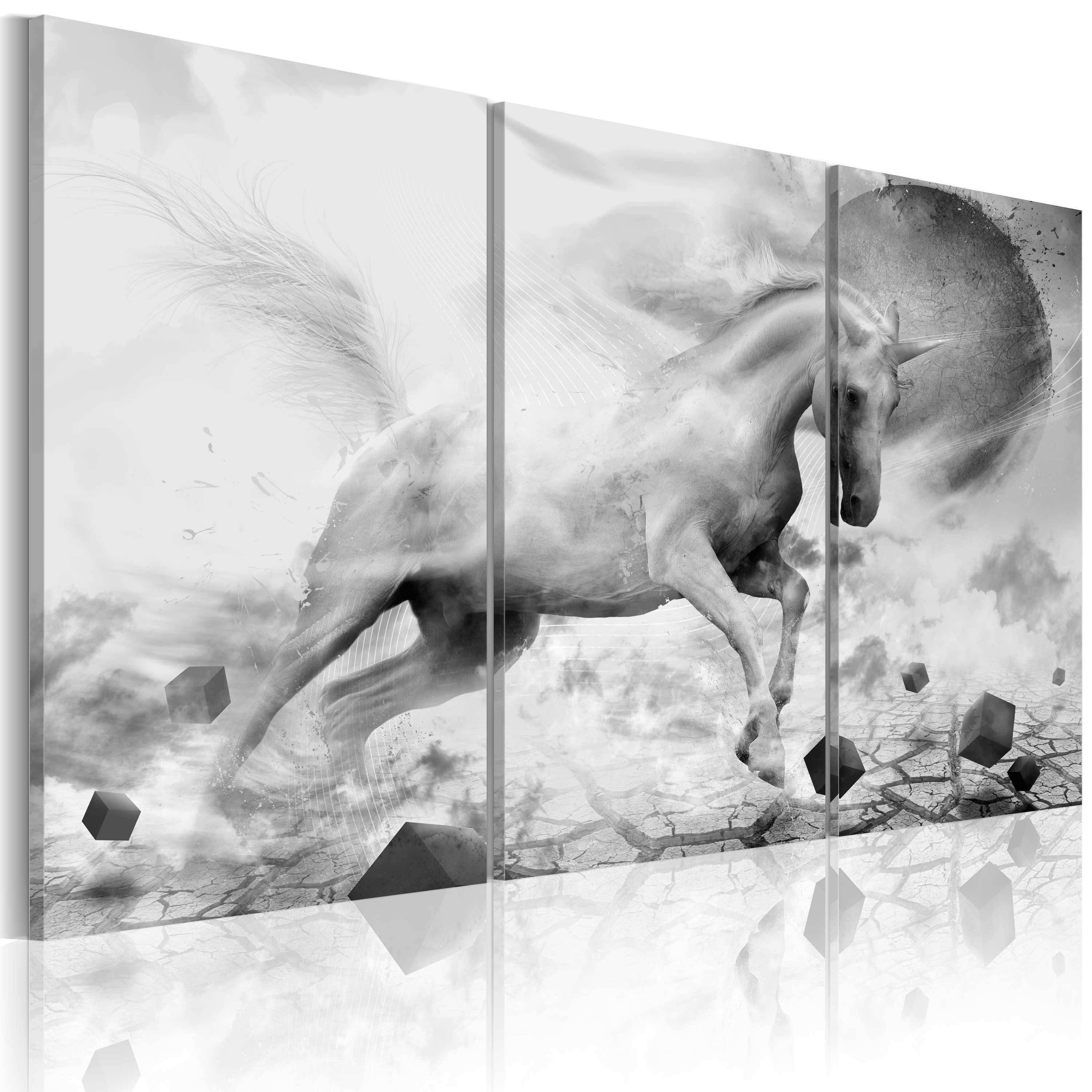 Basera® Leinwandbild 020101-13