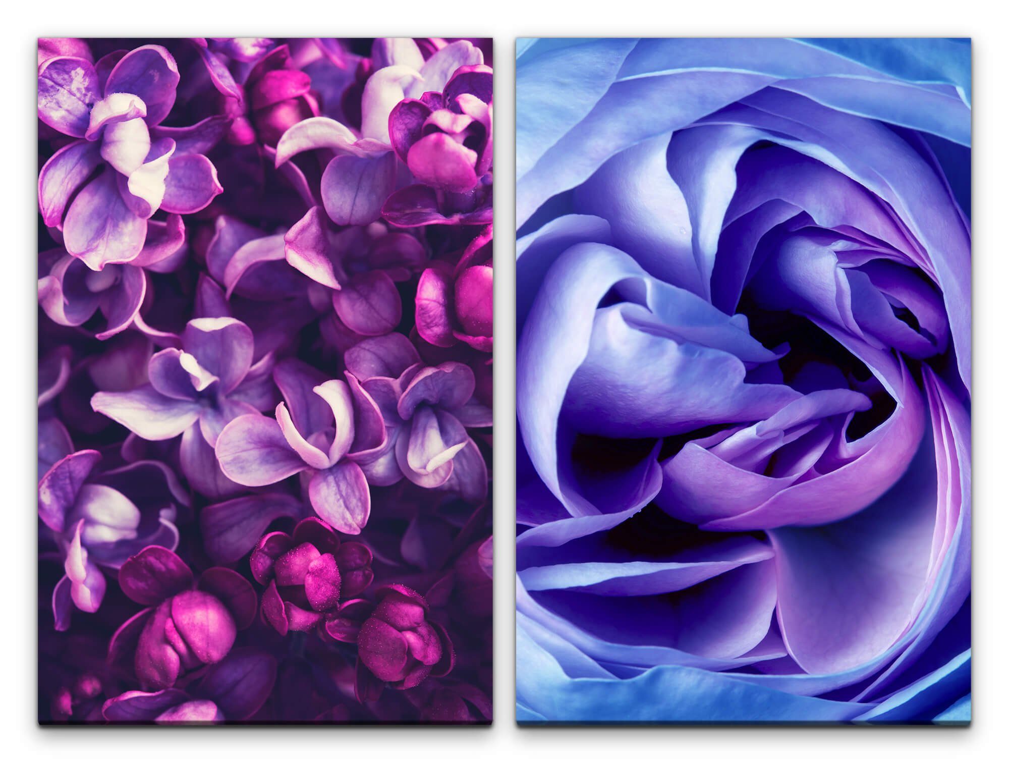 Sinus Art Leinwandbild 2 Bilder Je 60x90cm Orchideen Rosenblüte Blau