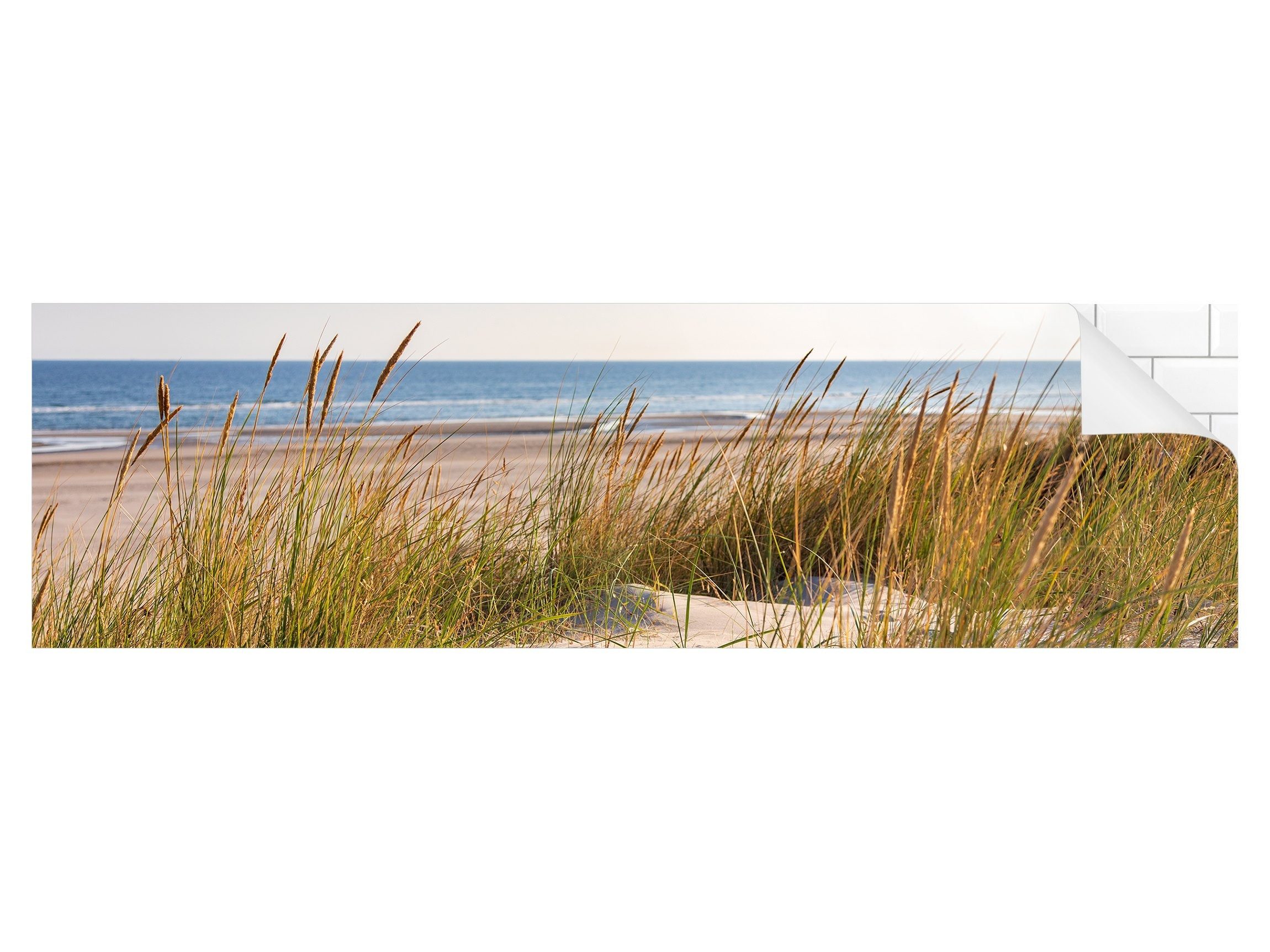 Bilderdepot24 Küchenrückwand Beige Dekor Natur Strand Meer Stranddüne