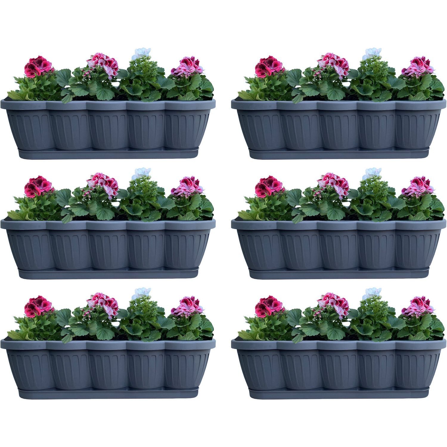 BURI Blumenkasten 6er Set 60cm Blumenkasten Pflanzkasten Anthrazit mit Bewässerung