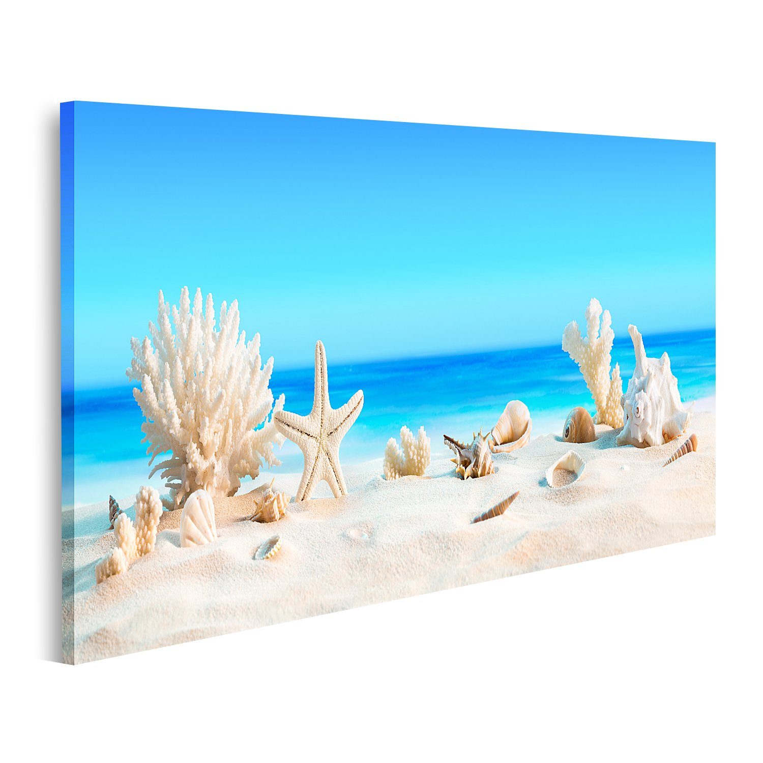 islandburner Leinwandbild »Bild auf Leinwand Landschaft Mit Muscheln Am Tropischen Strand ...