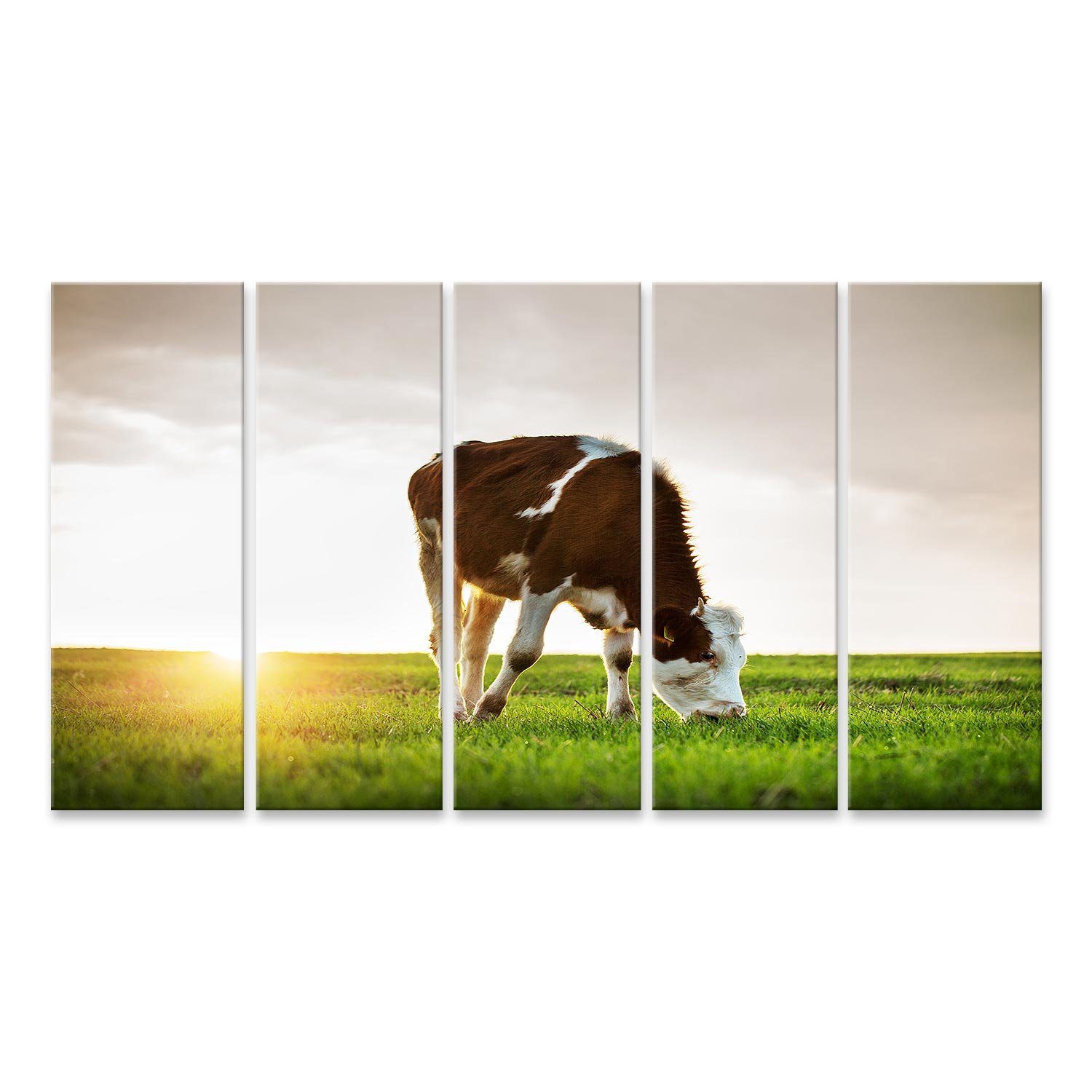 islandburner Leinwandbild »Bild auf Leinwand Kuh grasend Frische Weiden Sonnenuntergang Wandbild ...