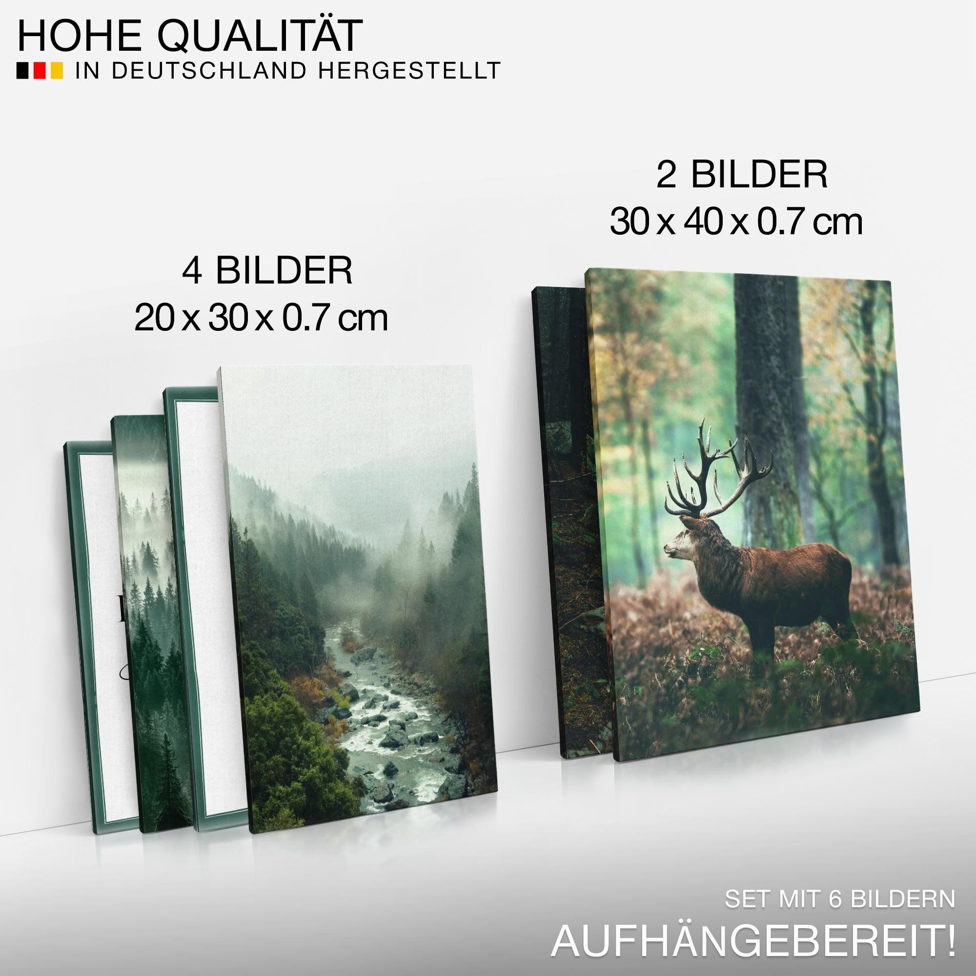 Novart Wandbild Wald Hirsch KOMPLETT AUFHÄNGFERTIG Natur Grün Wohnzimmer Schlafzimmer, Hirsch