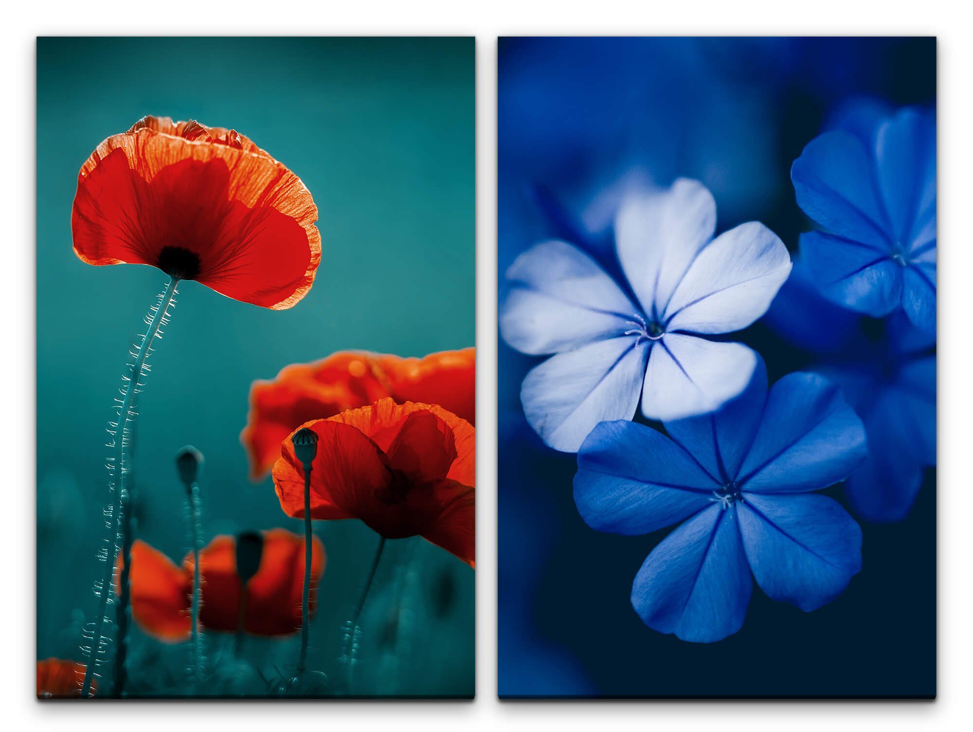 Sinus Art Leinwandbild 2 Bilder Je 60x90cm Blumen Blüten Blau Rot
