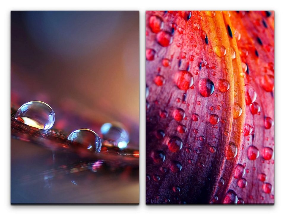 Sinus Art Leinwandbild 2 Bilder Je 60x90cm Wasserperle Wassertropfen