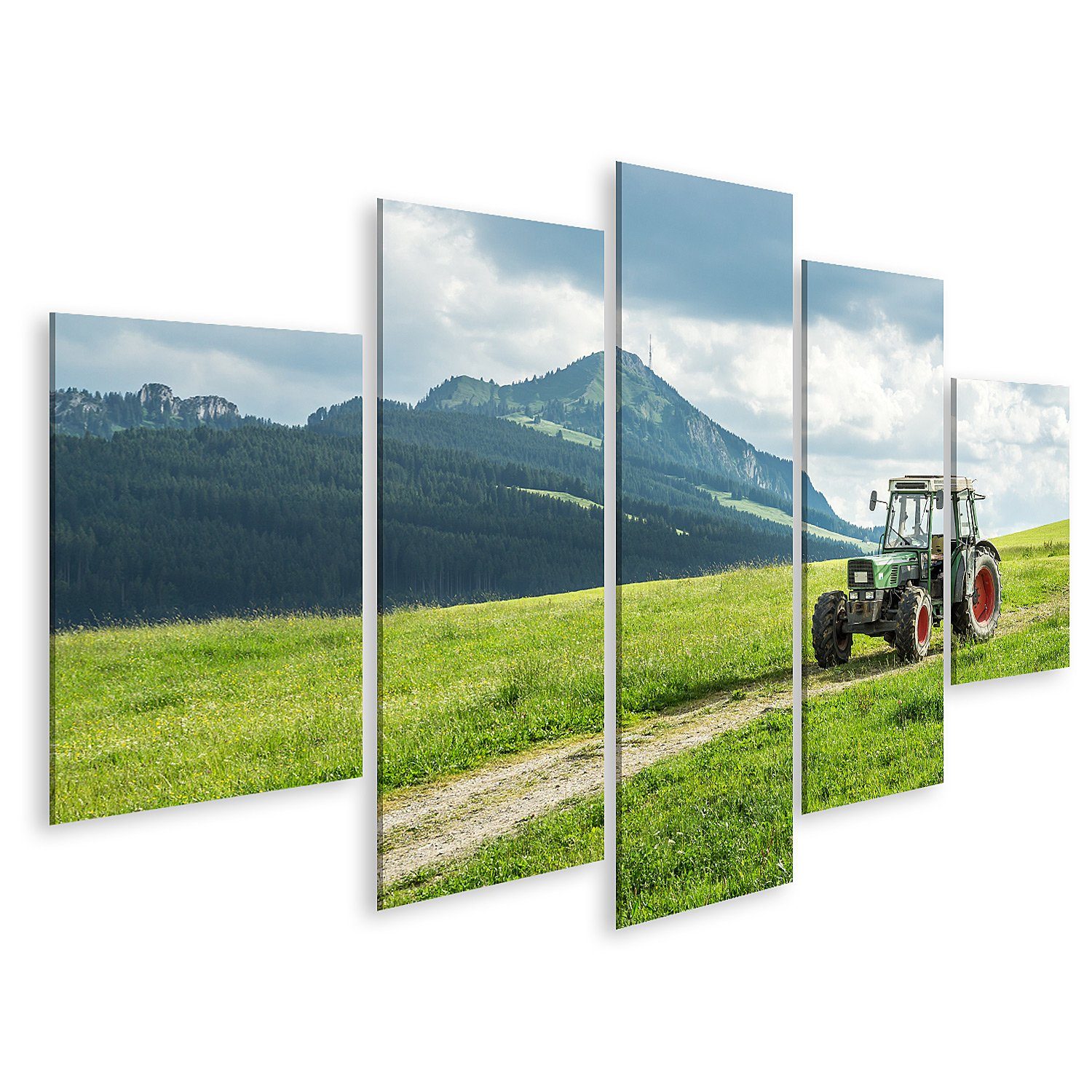 islandburner Leinwandbild Bild auf Leinwand Alter Traktor auf einer Wiese mit frischem Gras. Sch