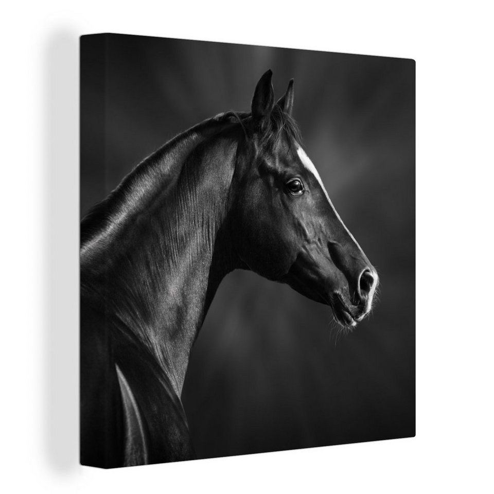 Onemillioncanvasses® Leinwandbild Pferd Tiere Schwarz Weiß