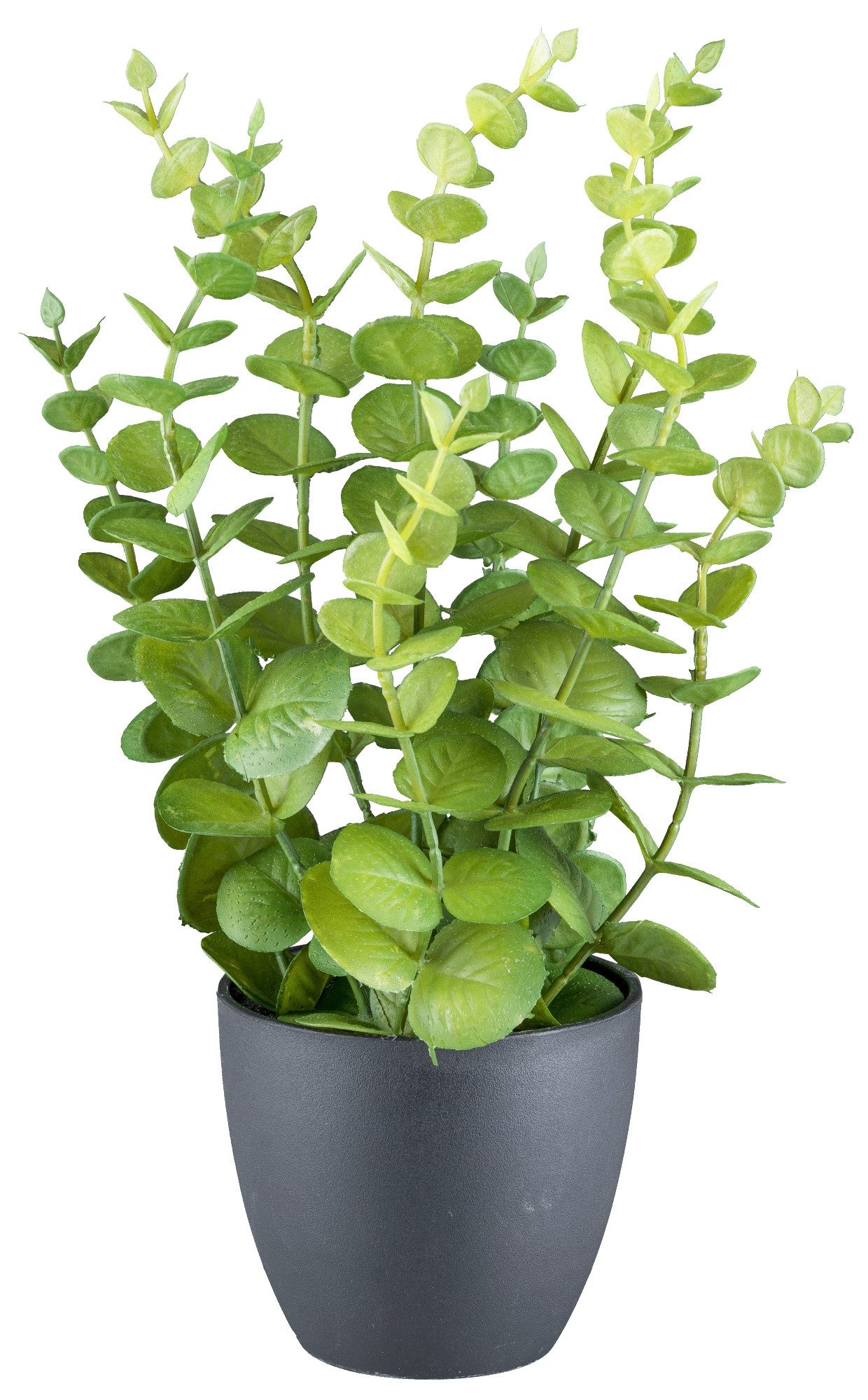 Kunstpflanze 2er Set Eukalypthus 27cm Kunststoff Grün Im