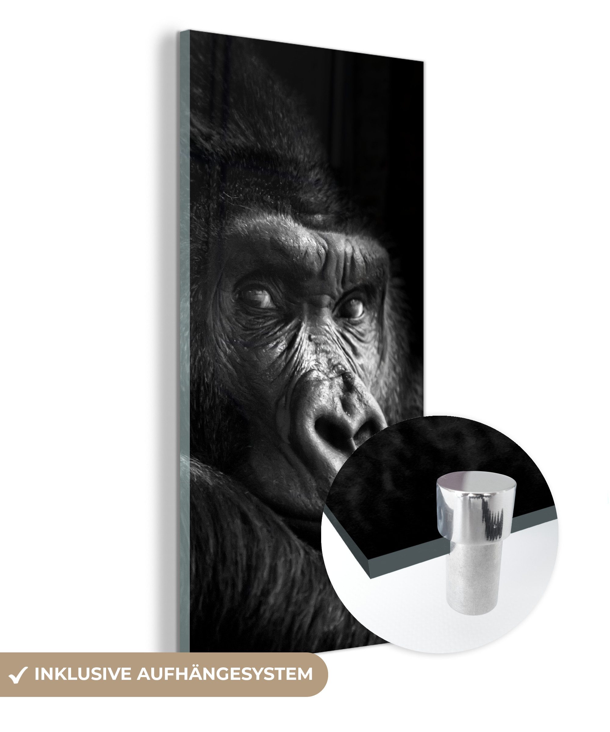Muchowow Acrylglasbild Gorilla Affe Schwarz Weiß Porträt 1 St