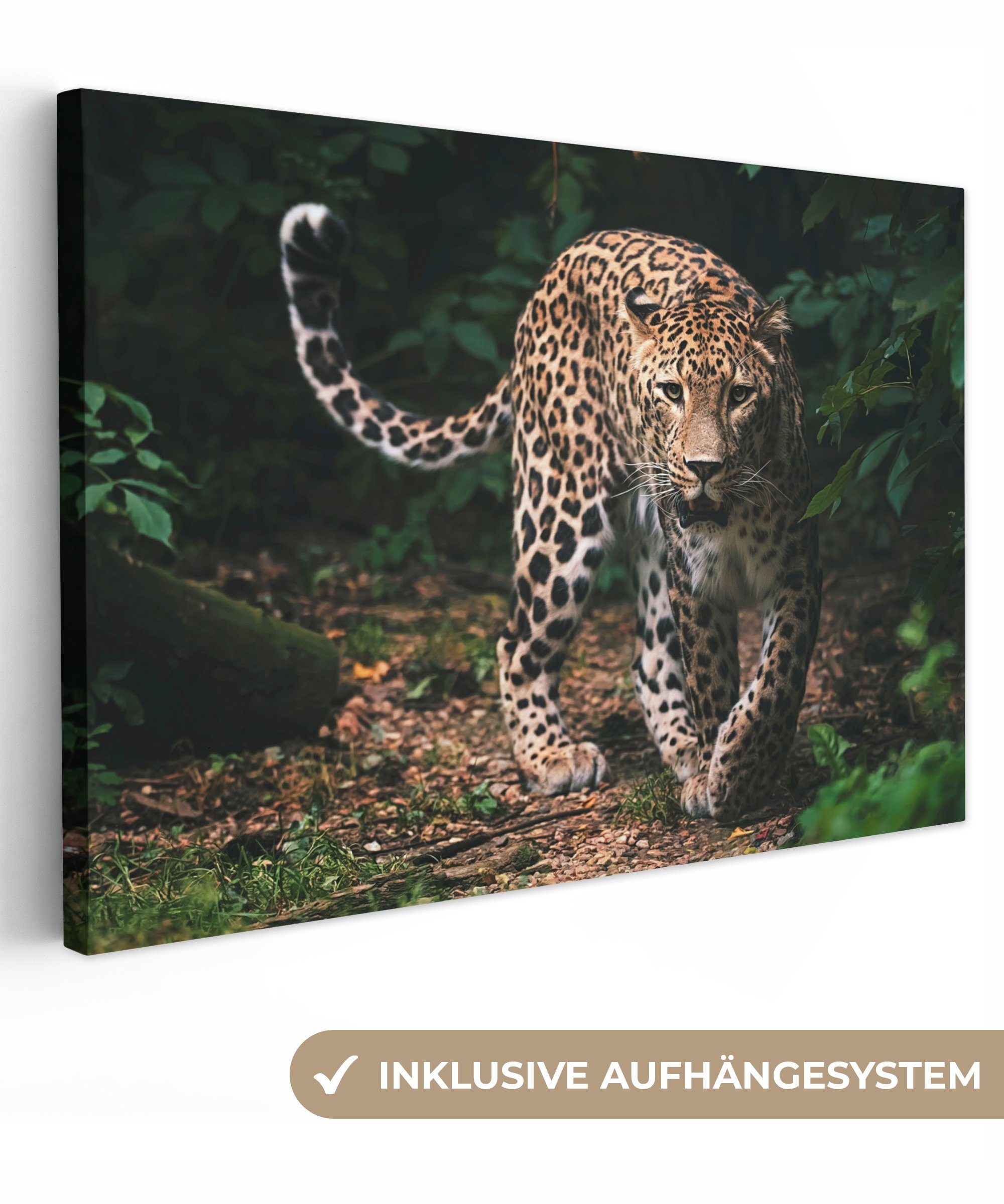 Onemillioncanvasses® Leinwandbild Wildtiere Leopard Dschungel