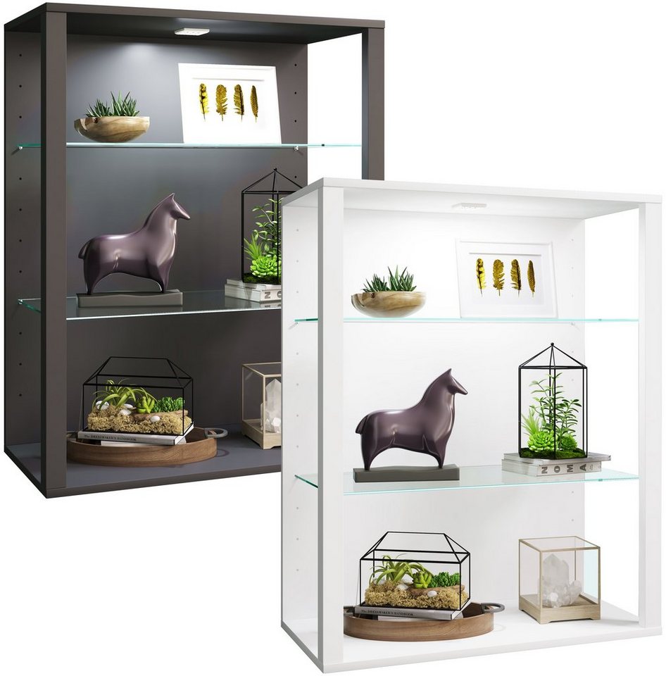 Vcm Hängevitrine Olz Glas Stand Vitrine Sammelvitrine Glasol Lw 1 St