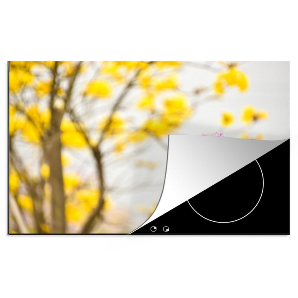 Muchowow Herdblende Abdeckplatte Bauhinia Blüten Und Goldene