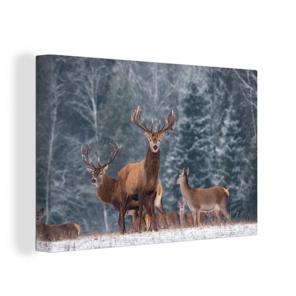 Onemillioncanvasses® Leinwandbild Hirsche Tiere Natur 1 St