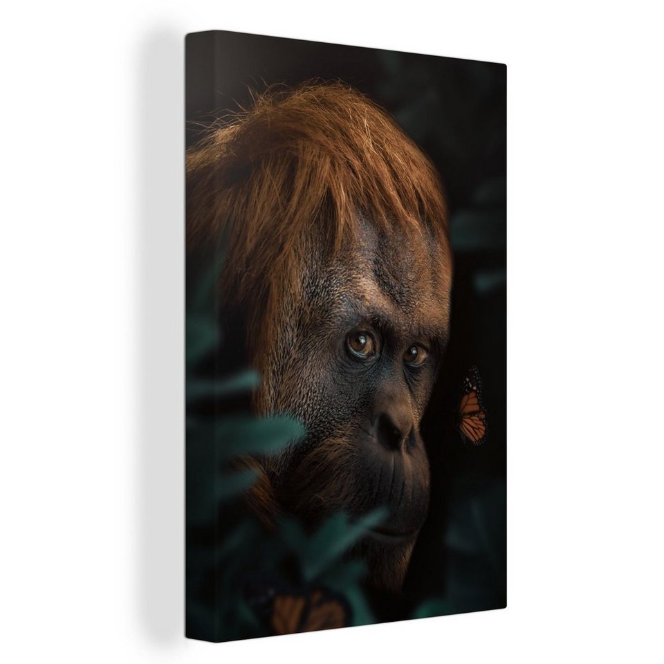 Onemillioncanvasses® Leinwandbild Dschungel Schmetterling Affe 1