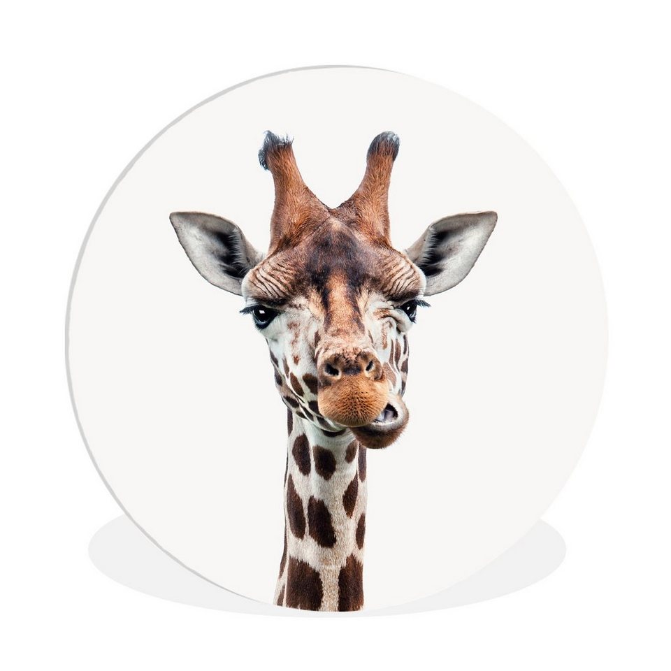 Muchowow Gemälde Tiere Porträt Giraffe 1 St Kreis