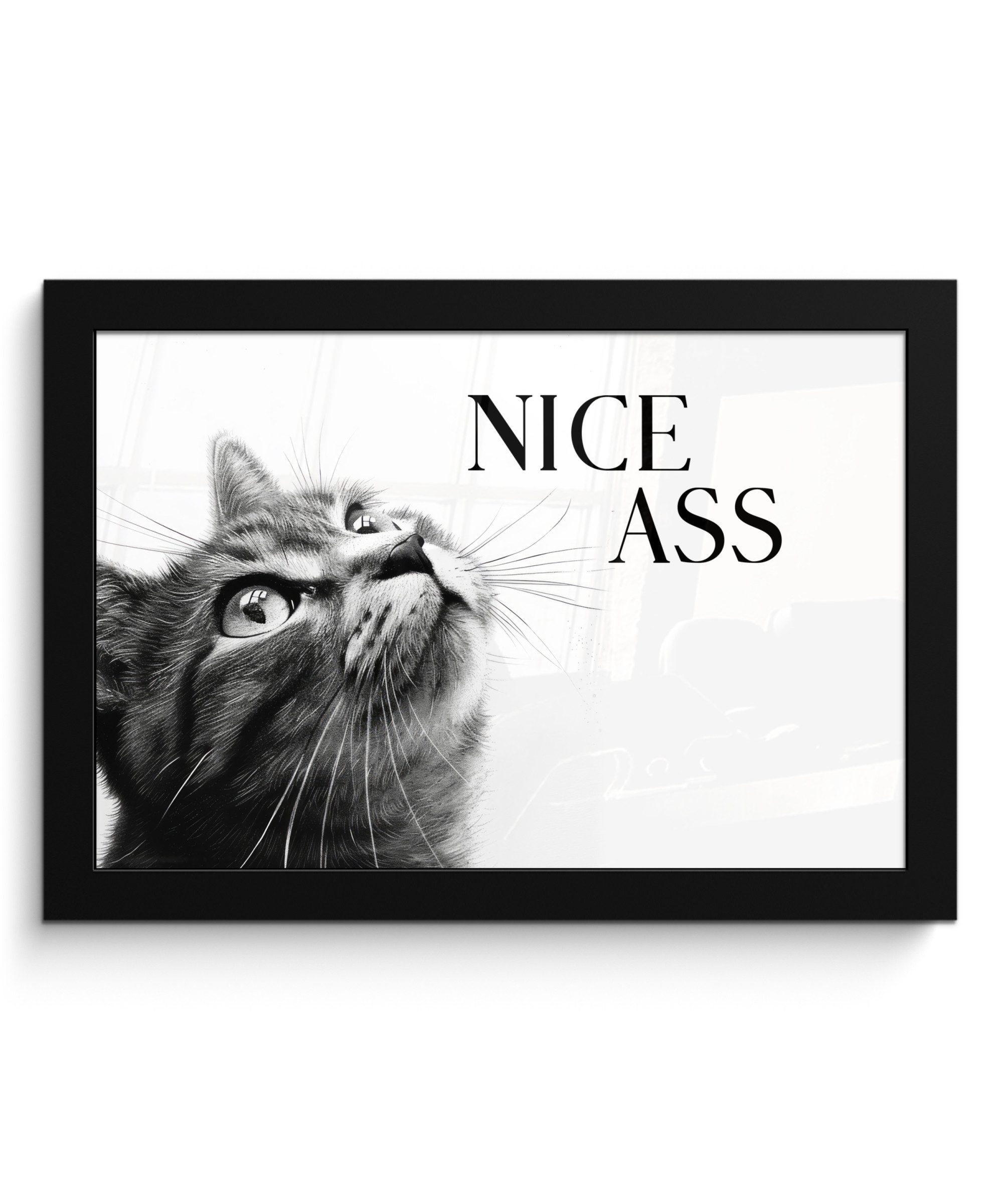 Muchowow Poster Katzen Netter Arsch Zitat Schwarz Und Weiß