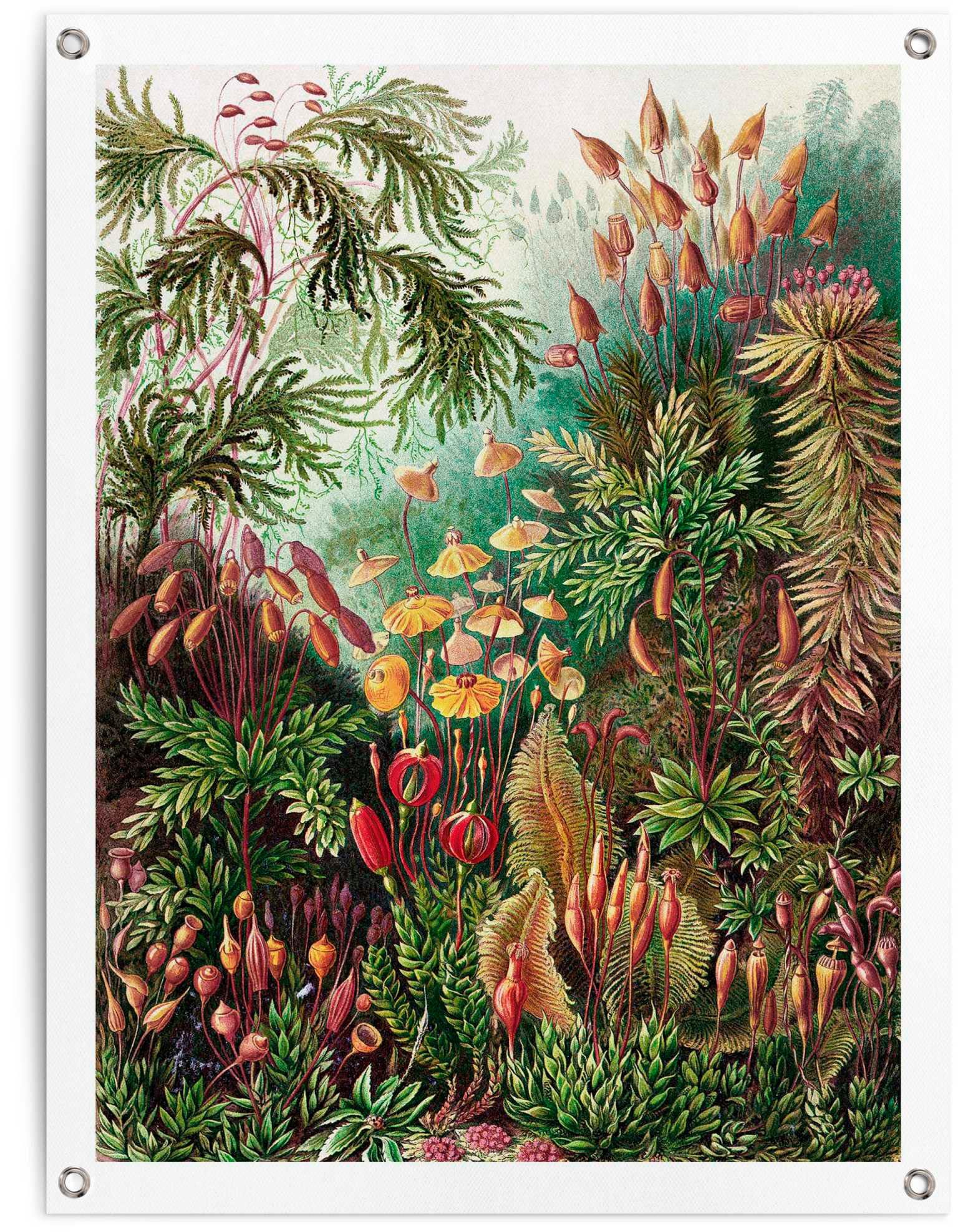 Reinders! Poster Sea Flora