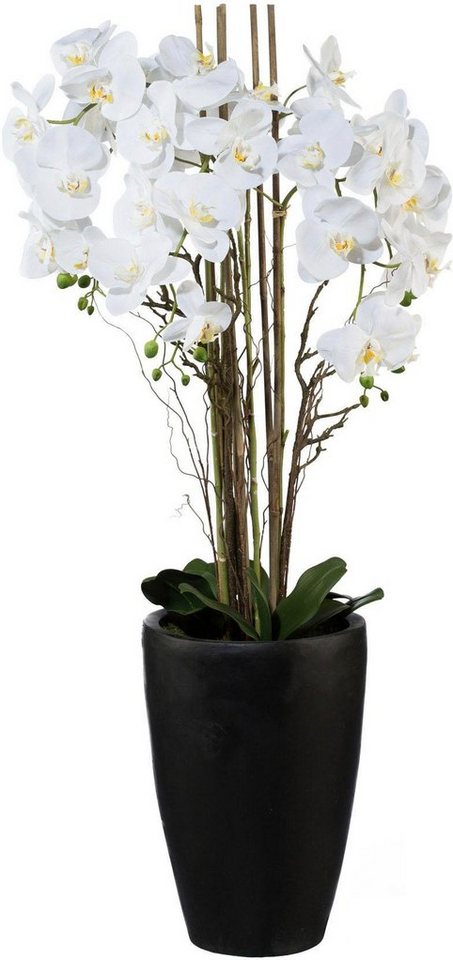 Kunstpflanze Phalaenopsis Orchidee Creativ Green Höhe 120 Cm Online