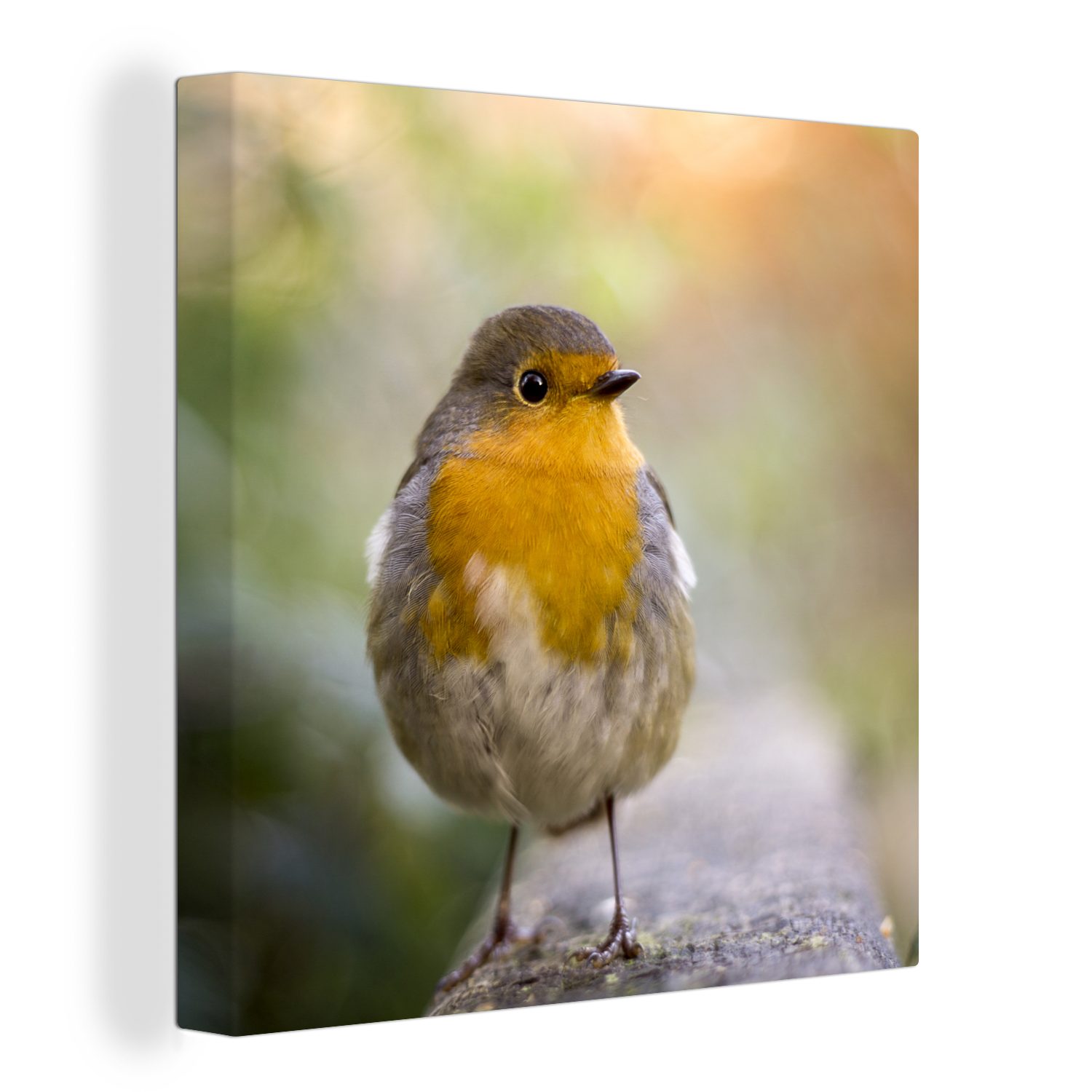 Onemillioncanvasses® Leinwandbild Vögel Rotkehlchen Baum 1 St