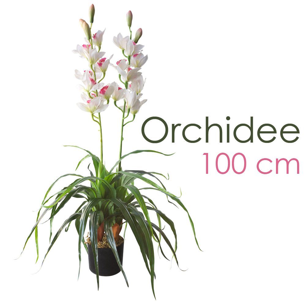 Kunstorchidee Künstliche Orchidee Kunstpflanze Pflanze Weiß Kunstblume