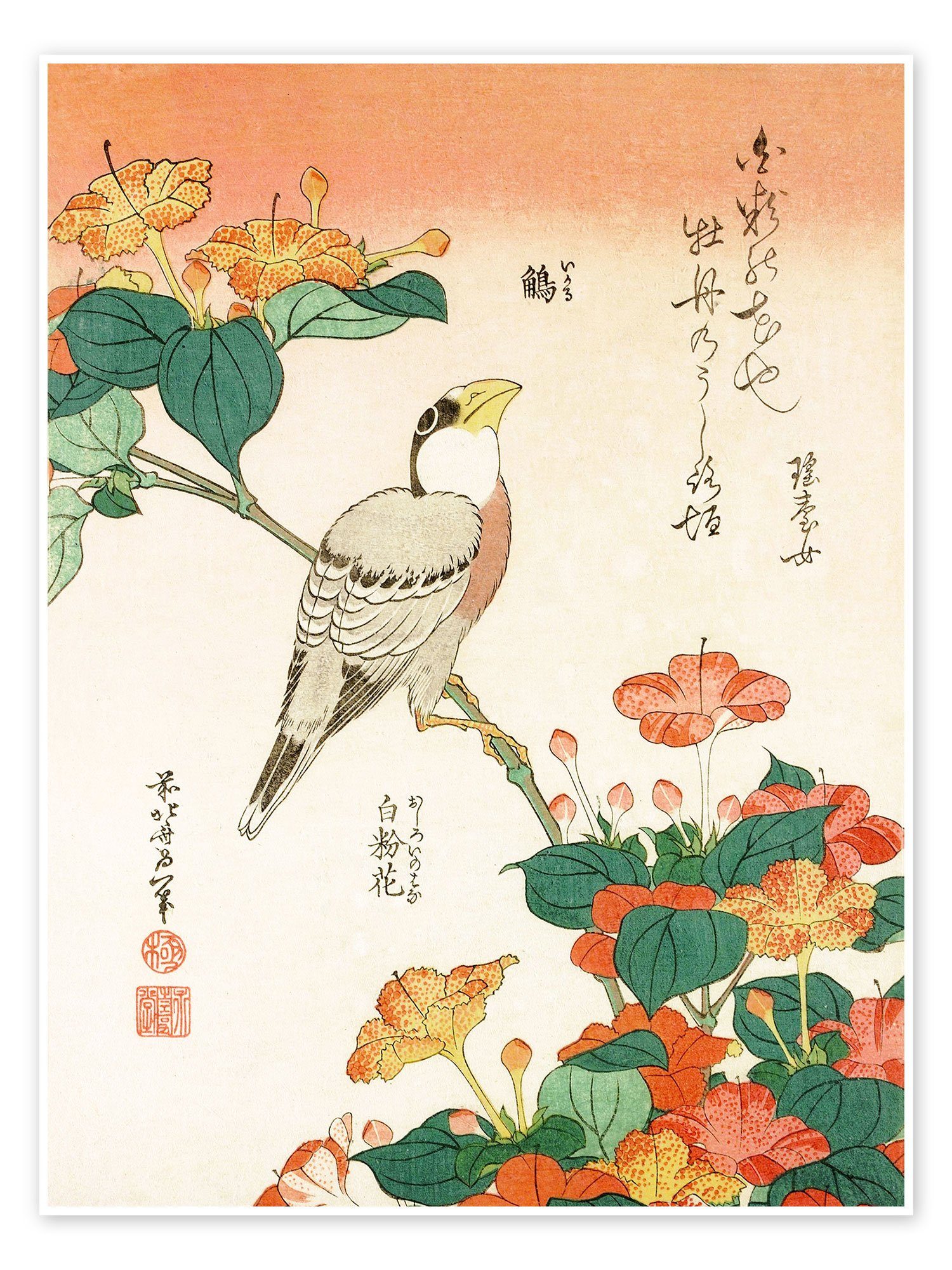 Posterlounge Poster Katsushika Hokusai Mirabilis Jalapa Und Kernbeißer