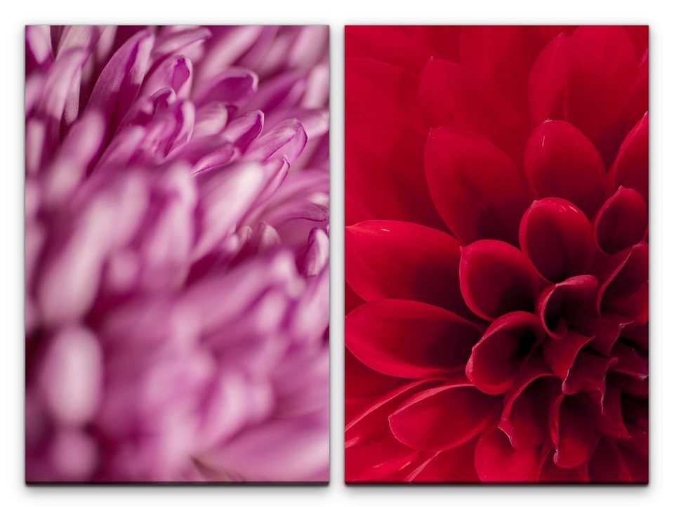 Sinus Art Leinwandbild 2 Bilder Je 60x90cm Dahlie Blüten Sommer Rote