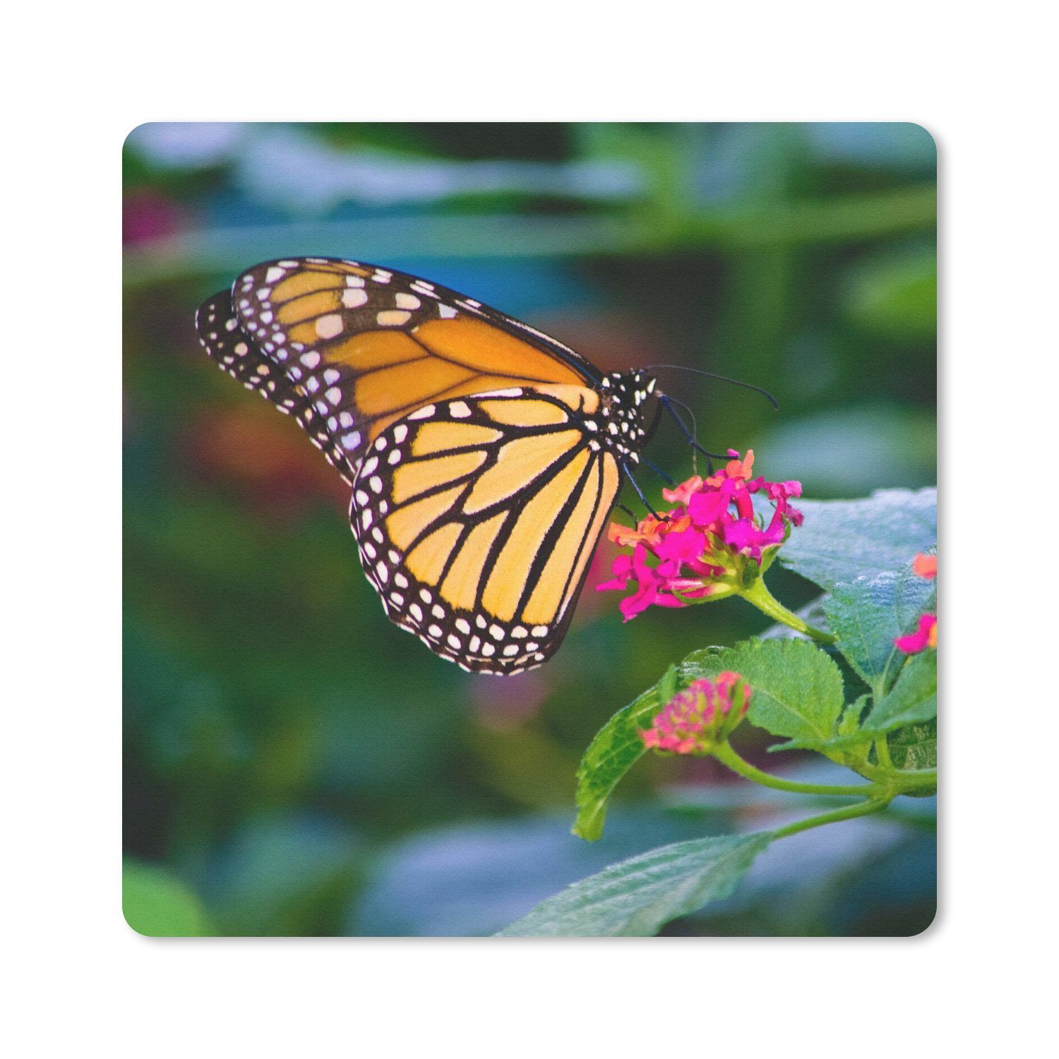 Muchowow Mauspad Schmetterlinge Blume Natur 1 St Gaming