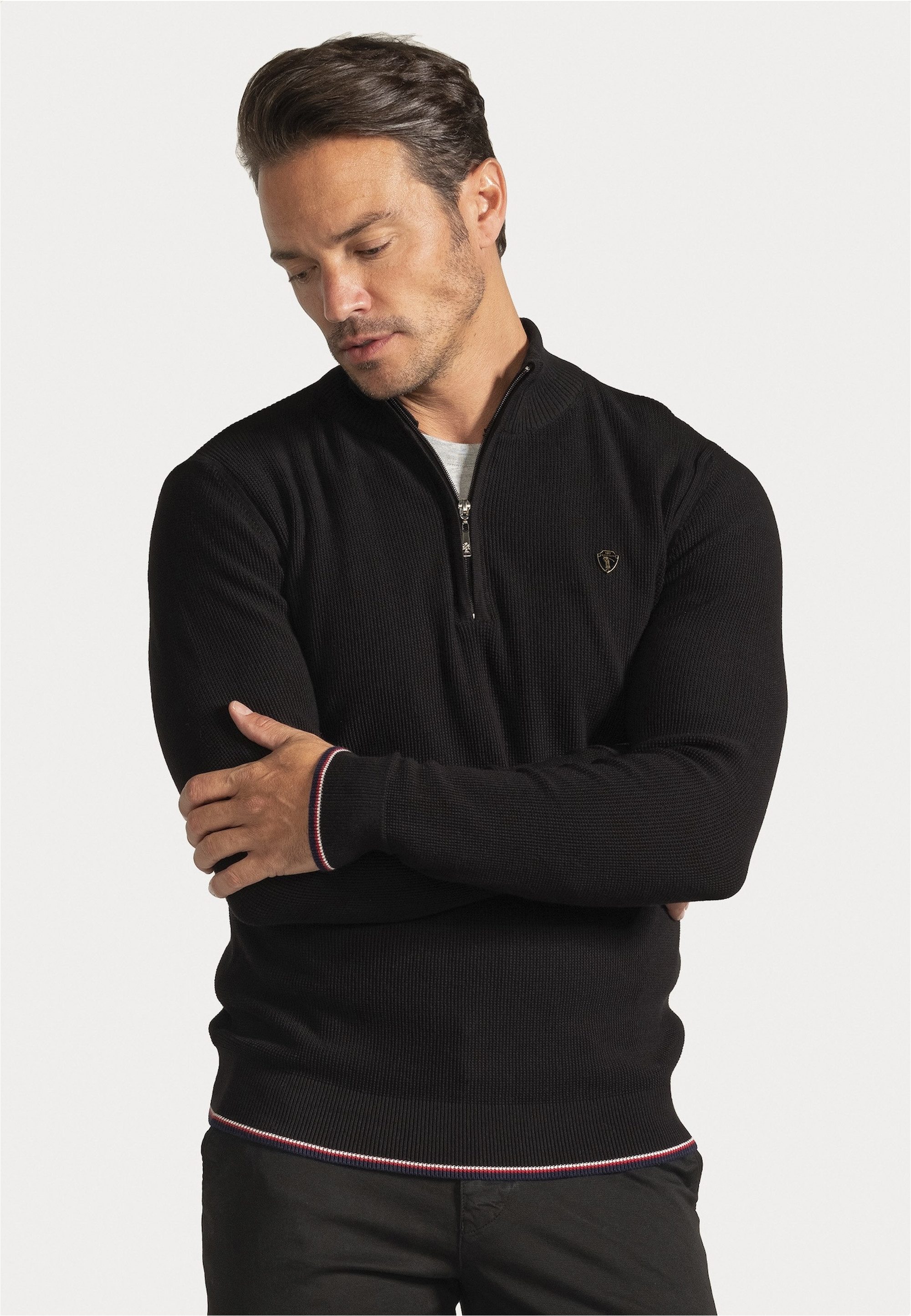 SIR RAYMOND TAILOR Strickpullover Pulses (1-tlg) mit Stehkragen