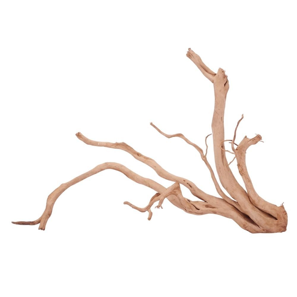 Aquaone Aquarium XXL Moorkienwurzel Nr.4306 Holz Deko Aquascaping