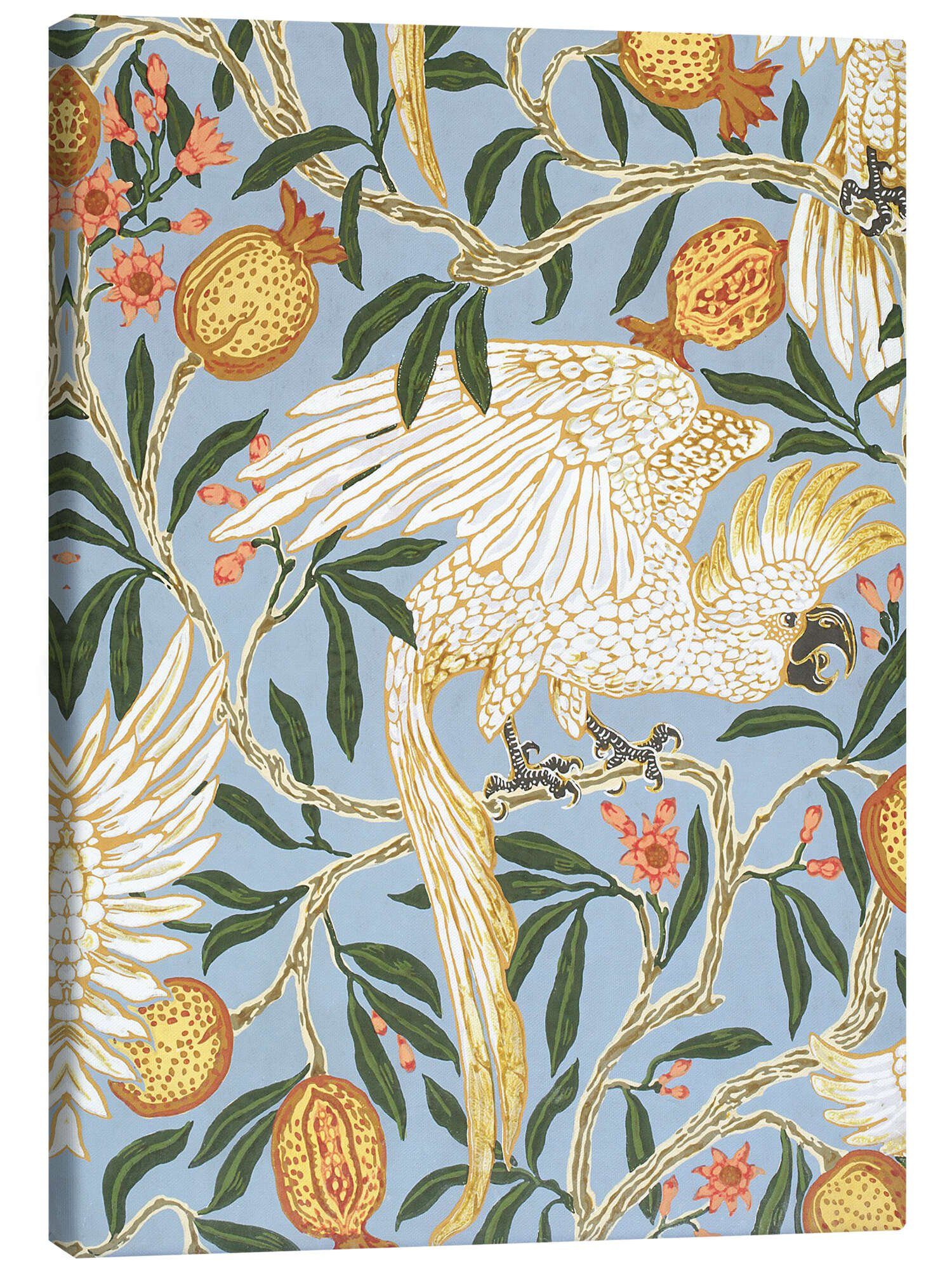 Posterlounge Leinwandbild Walter Crane Kakadu Und Granatapfel