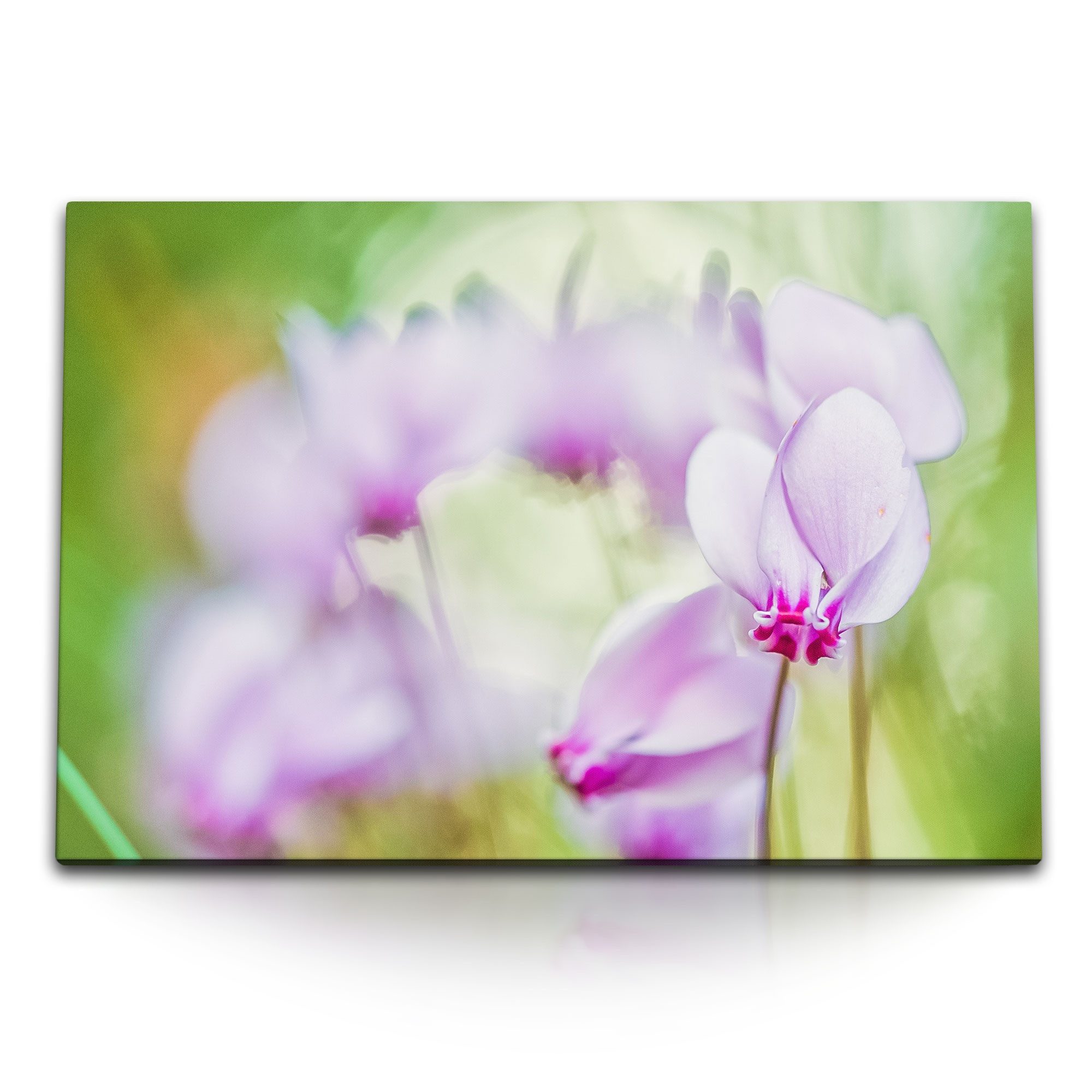 Sinus Art Leinwandbild 120x80cm Wandbild Auf Leinwand Orchidee Rosa