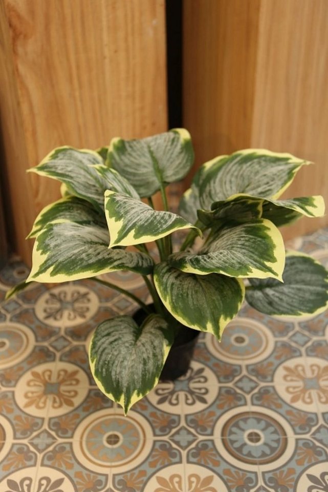 Kunstblume Deko Hostatopfjuno Grün Ve 2 Bxhxl Cm X 53 Cm X Cm Fands