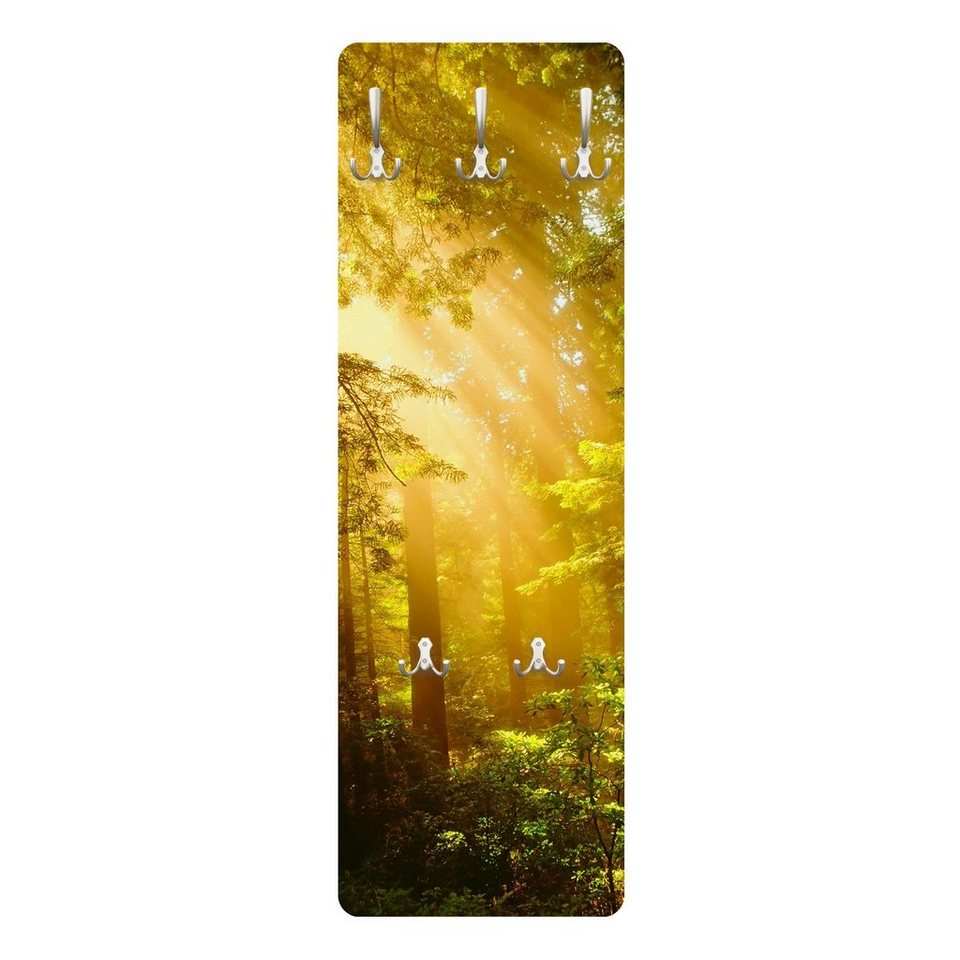Bilderdepot24 Garderobenpaneel Gelb Bäume Wald Natur Morgengold Design