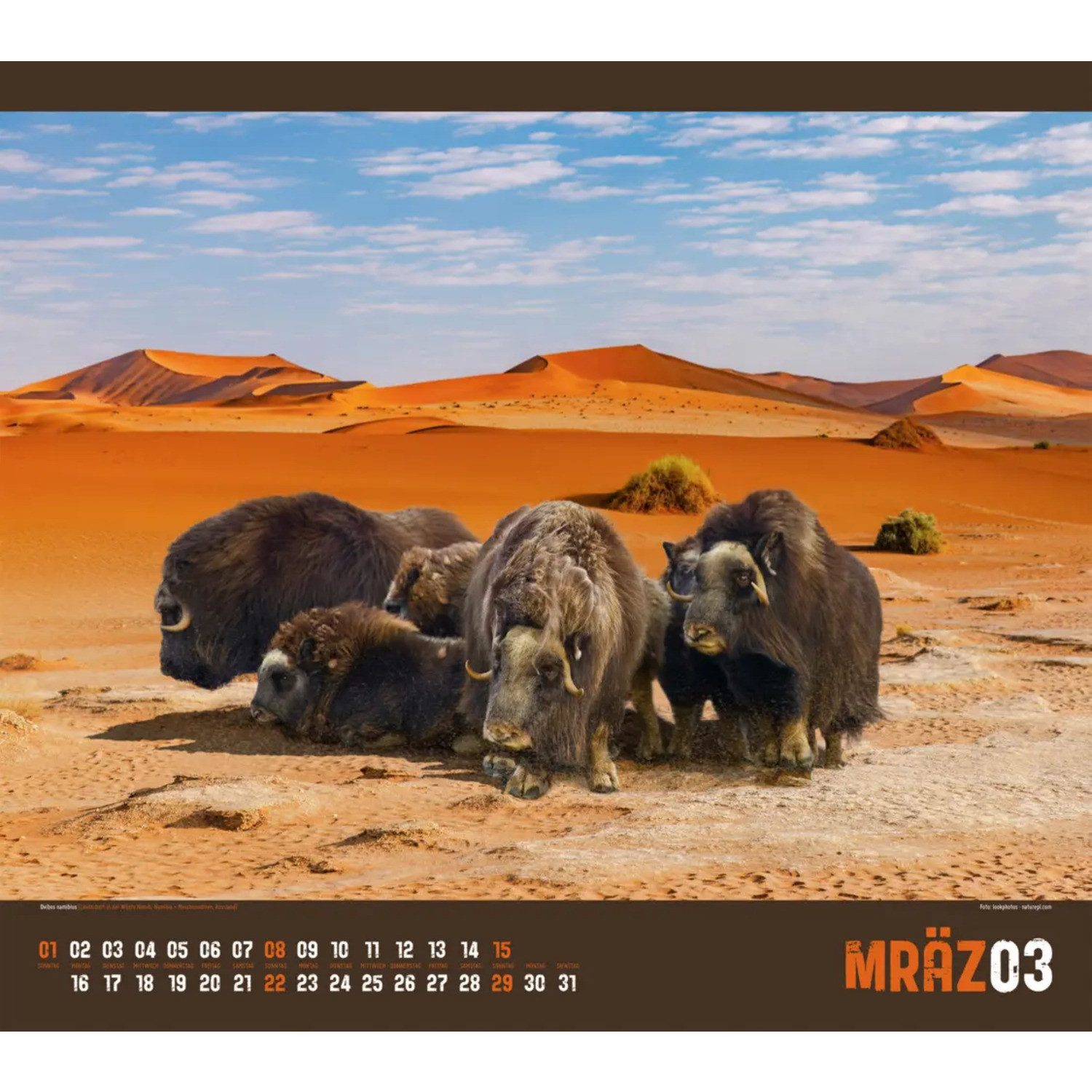 Ackermann Wandkalender Verrückte Welt Kalender 2026