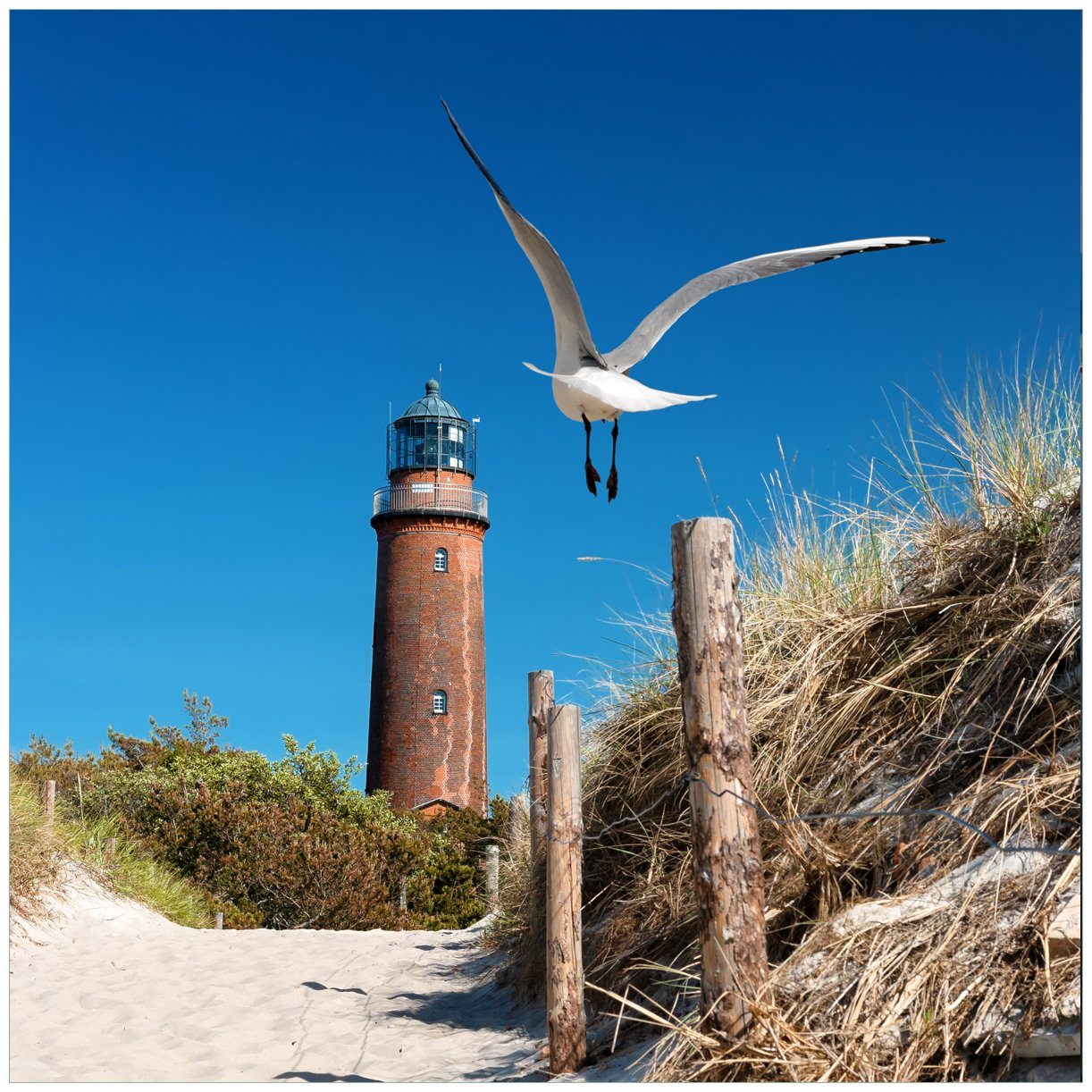 Wallario Möbelfolie Möwe Am Strand Mit Leuchtturm Im Lieferumfang