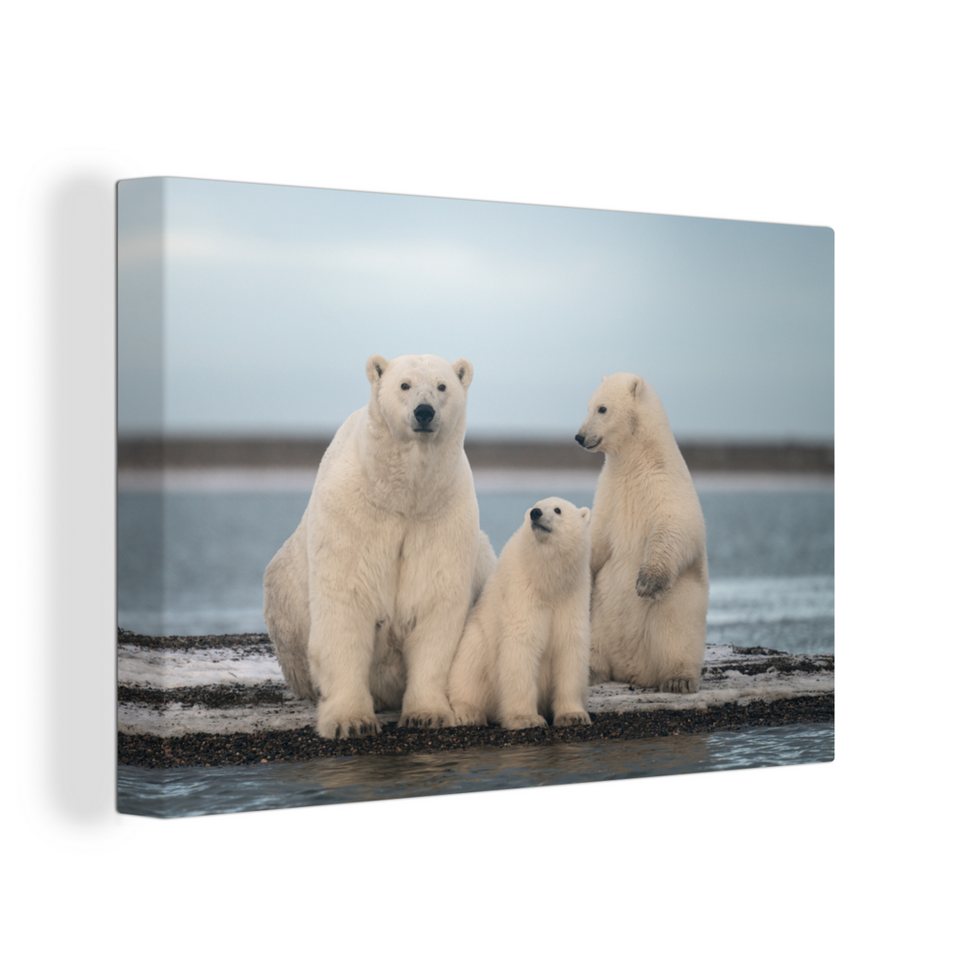 Onemillioncanvasses® Leinwandbild Eisbär Wasser Alaska 1 St