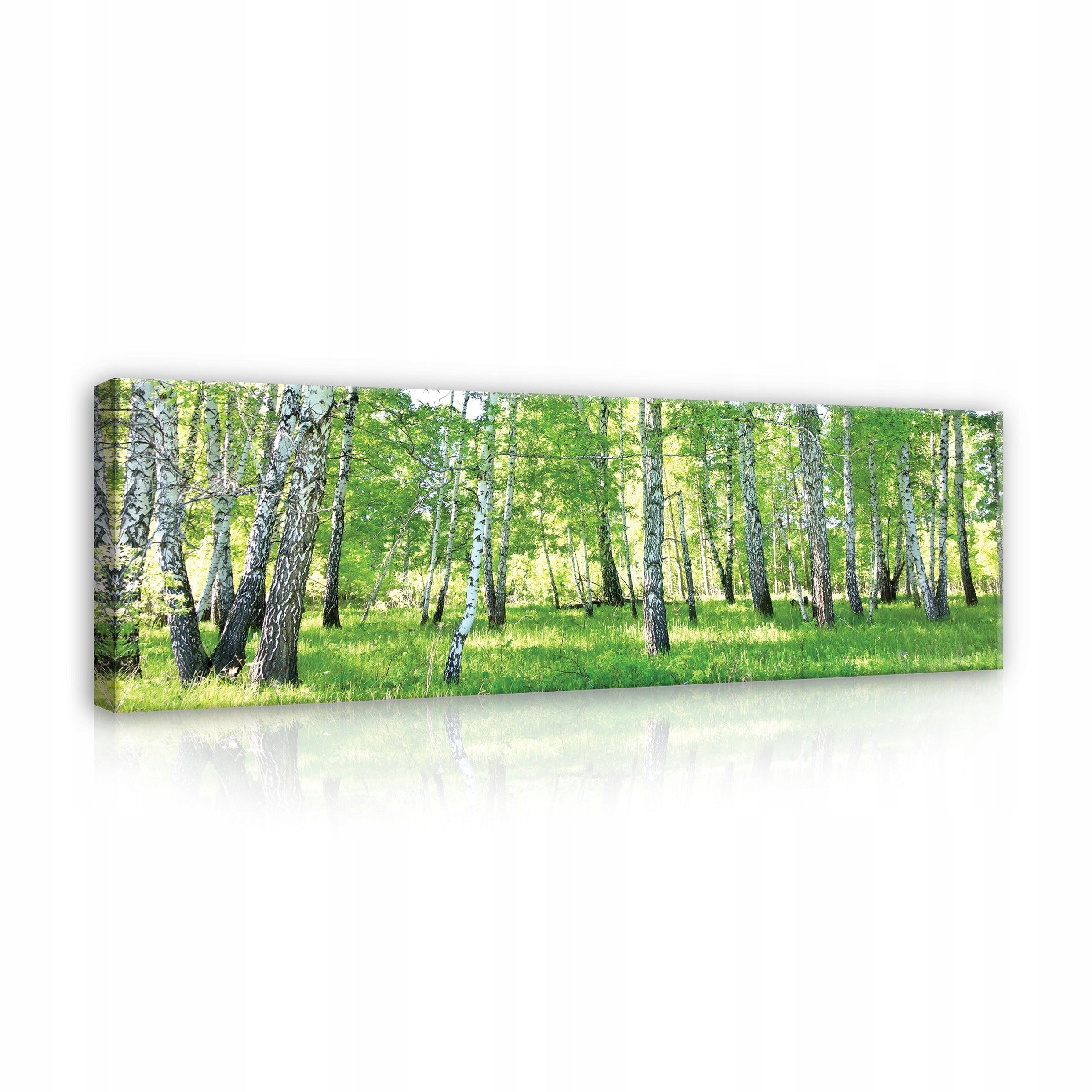 Wallarena Leinwandbild Wald Birkenwald Landschaft Natur Wandbild 145x45