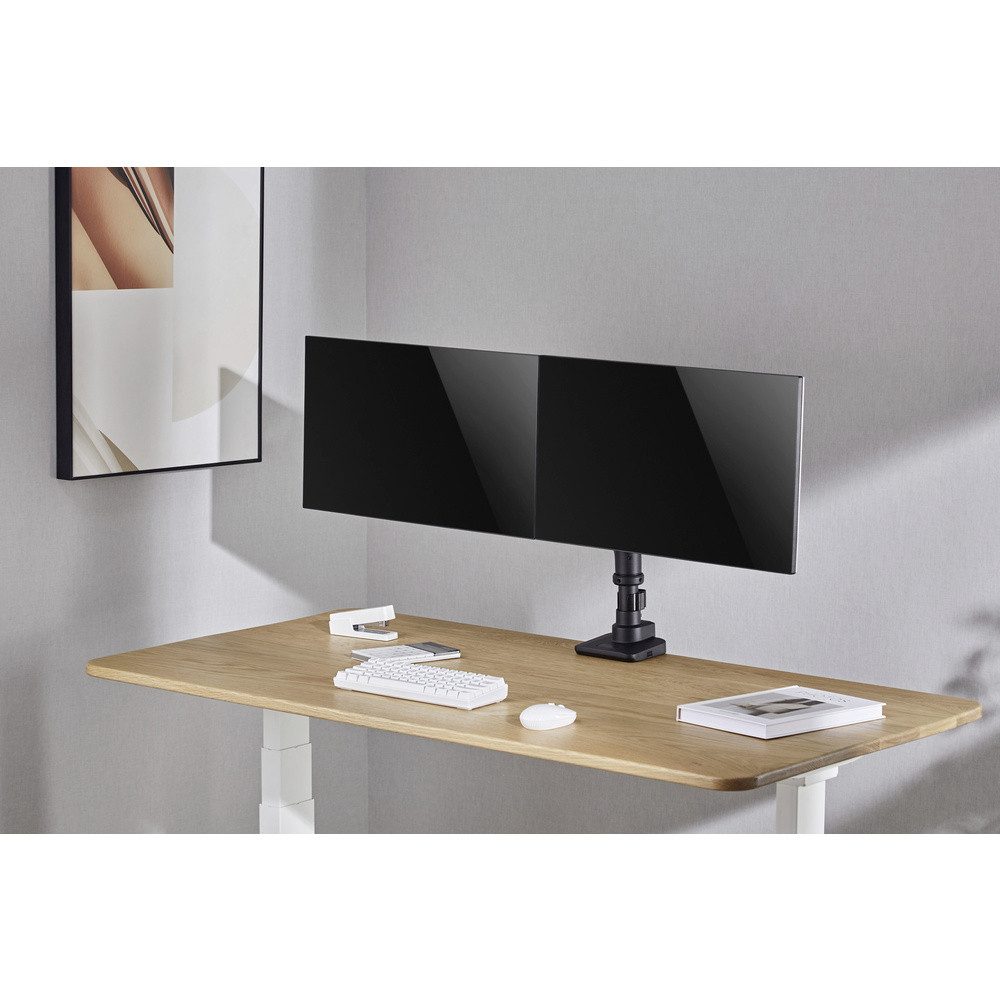 SpeaKa Professional Monitor-Halterung Doppel-Monitorarm mit ...