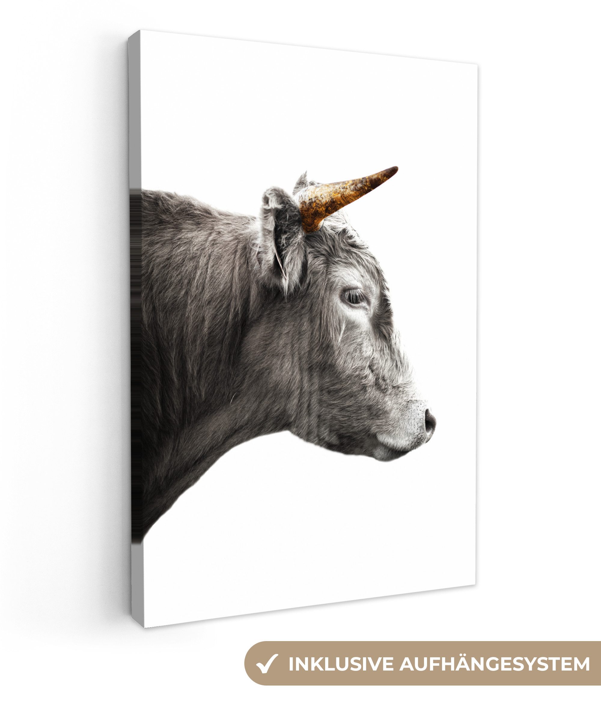 OneMillionCanvasses® Leinwandbild Schottischer Highlander - Tiere - Kuh, Fotodruck (1 St), Deko ...