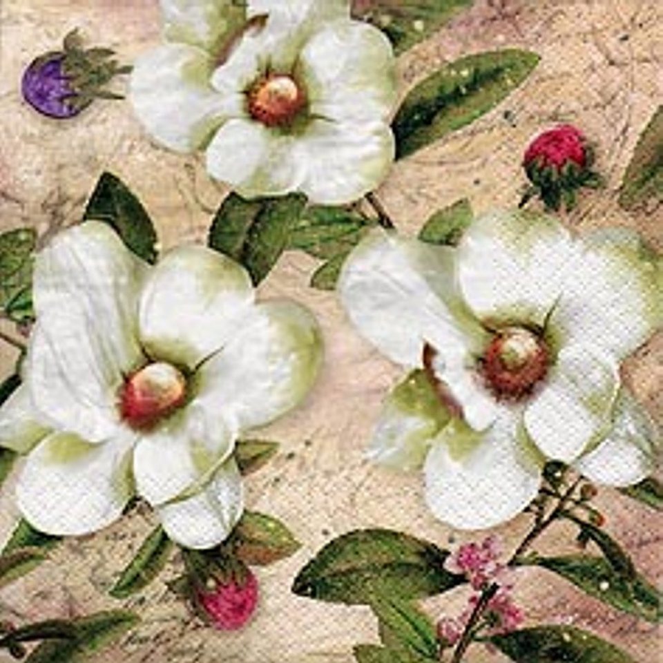 Linoows Papierserviette 20 Servietten Drei Weiße Magnolien Und