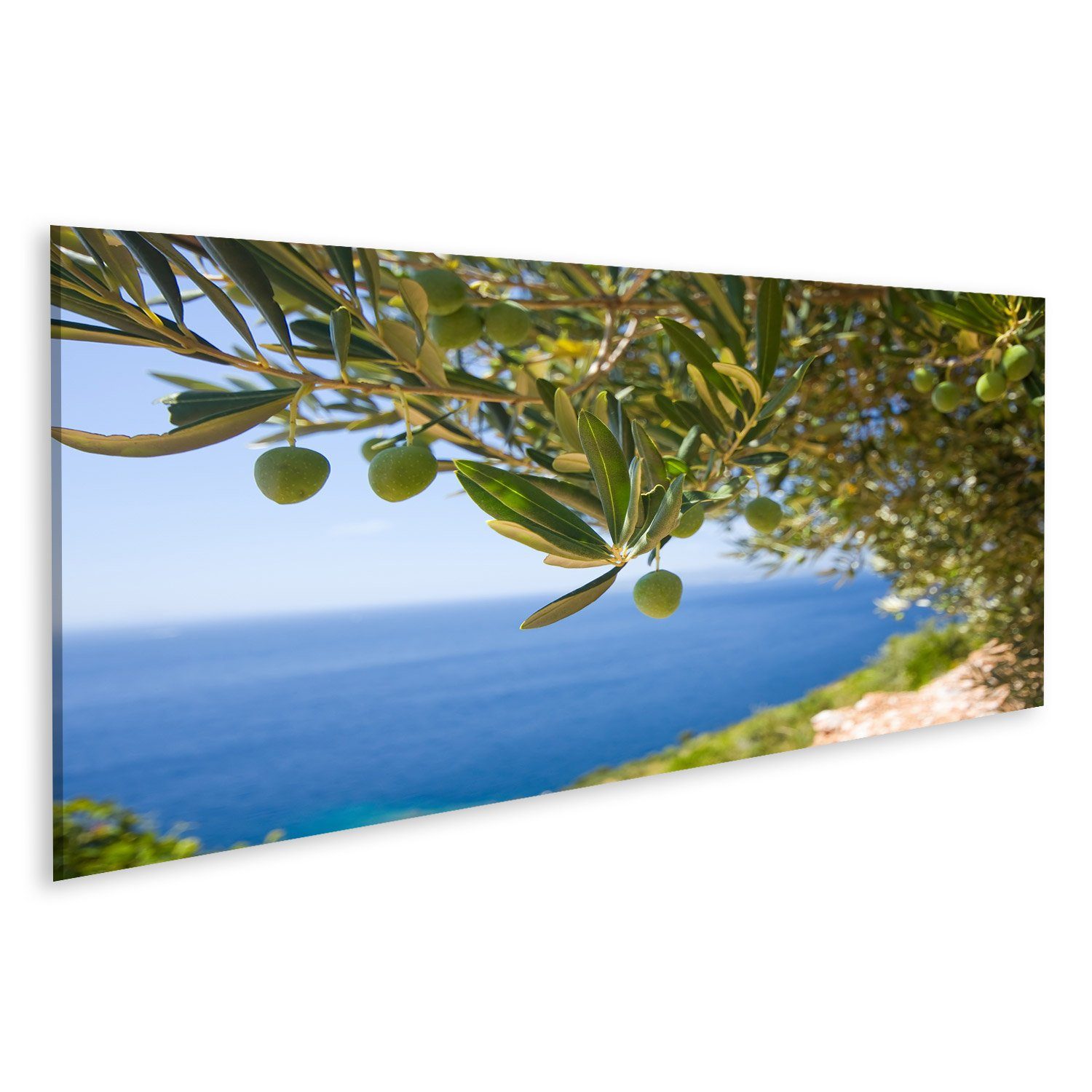 islandburner Leinwandbild Bild auf Leinwand Olivenbaum Meer Hintergrund Wandbild Leinwandbild W