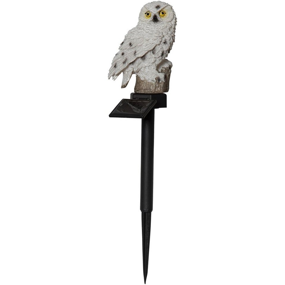 Star Trading Led Dekolicht Owl Star Trading Solar Erdspieß Owl