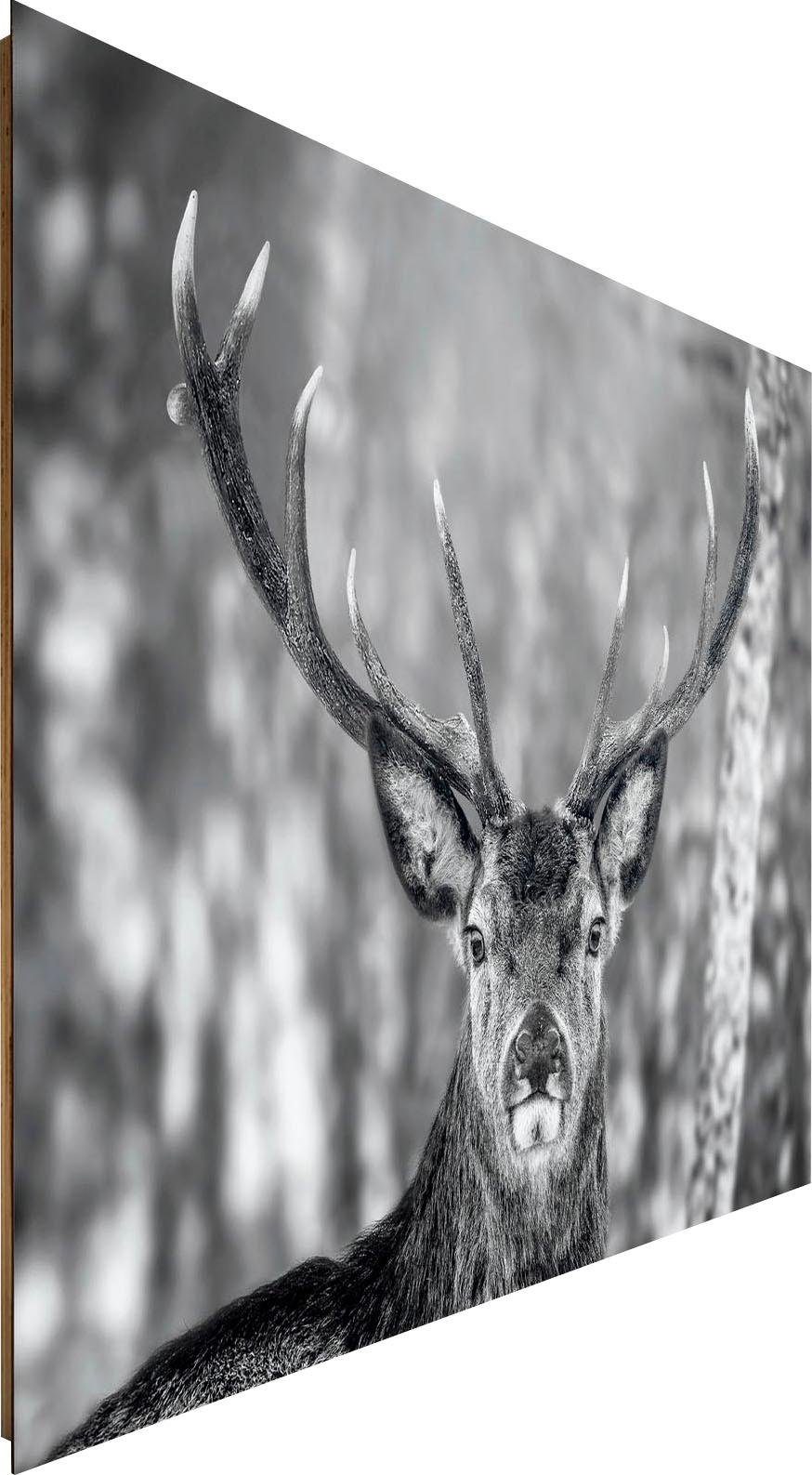 Home Affaire Deco-Panel »Hirsch im Winter« 100/140 cm online kaufen | OTTO
