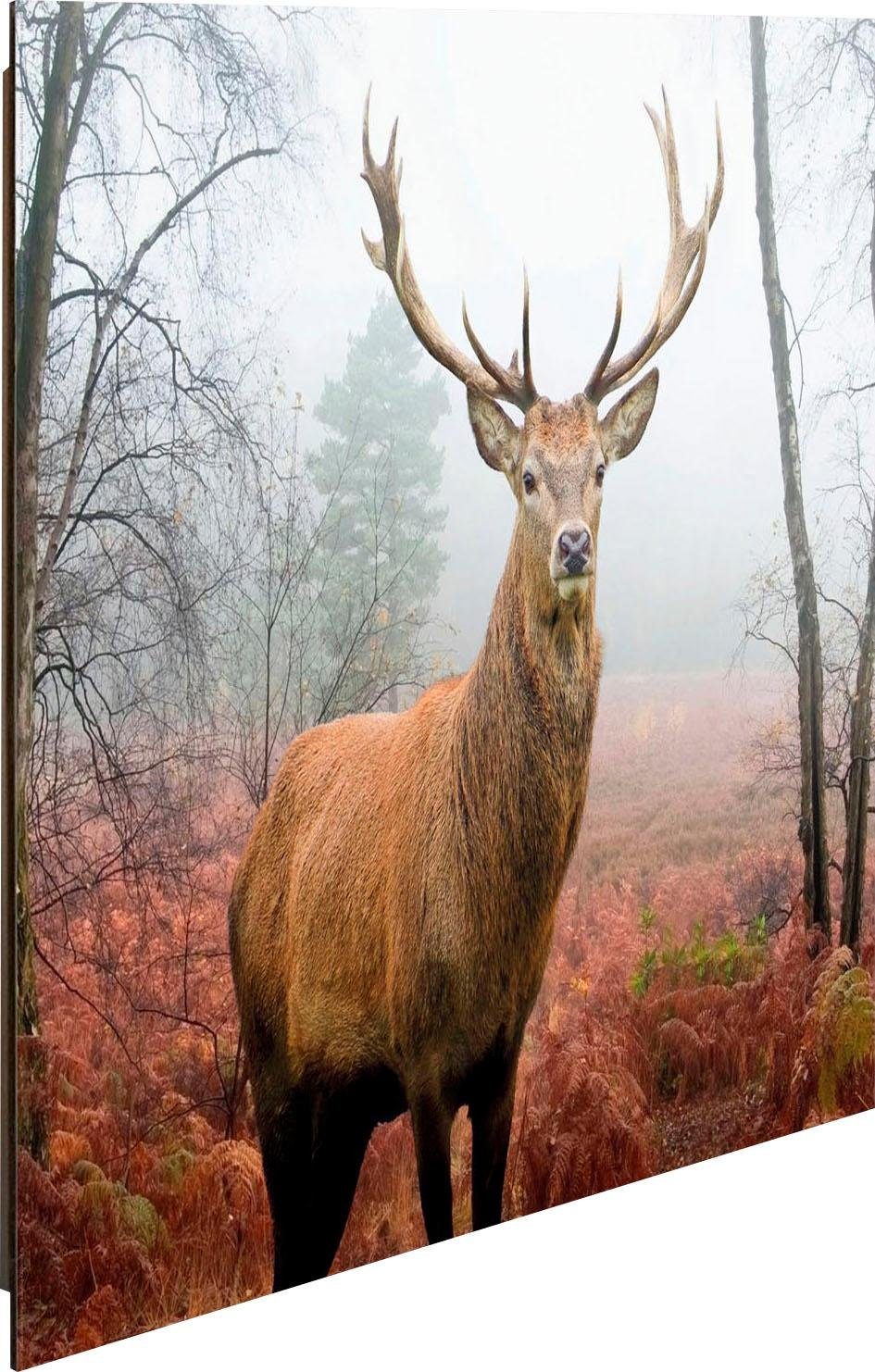 Home Affaire Deco-Panel »Hirsch im Wald« 50/40 cm | OTTO