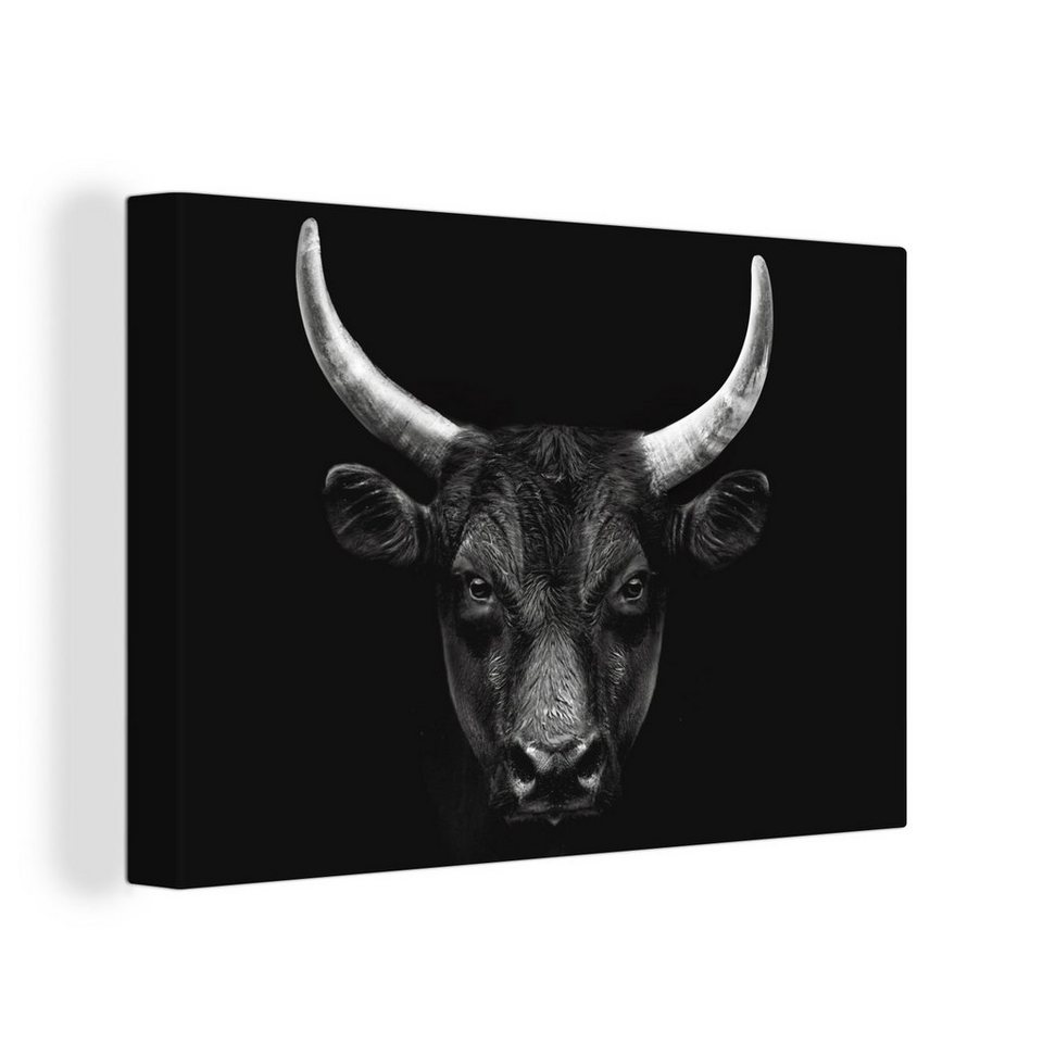 Onemillioncanvasses® Leinwandbild Tiere Stier Schwarz Weiß