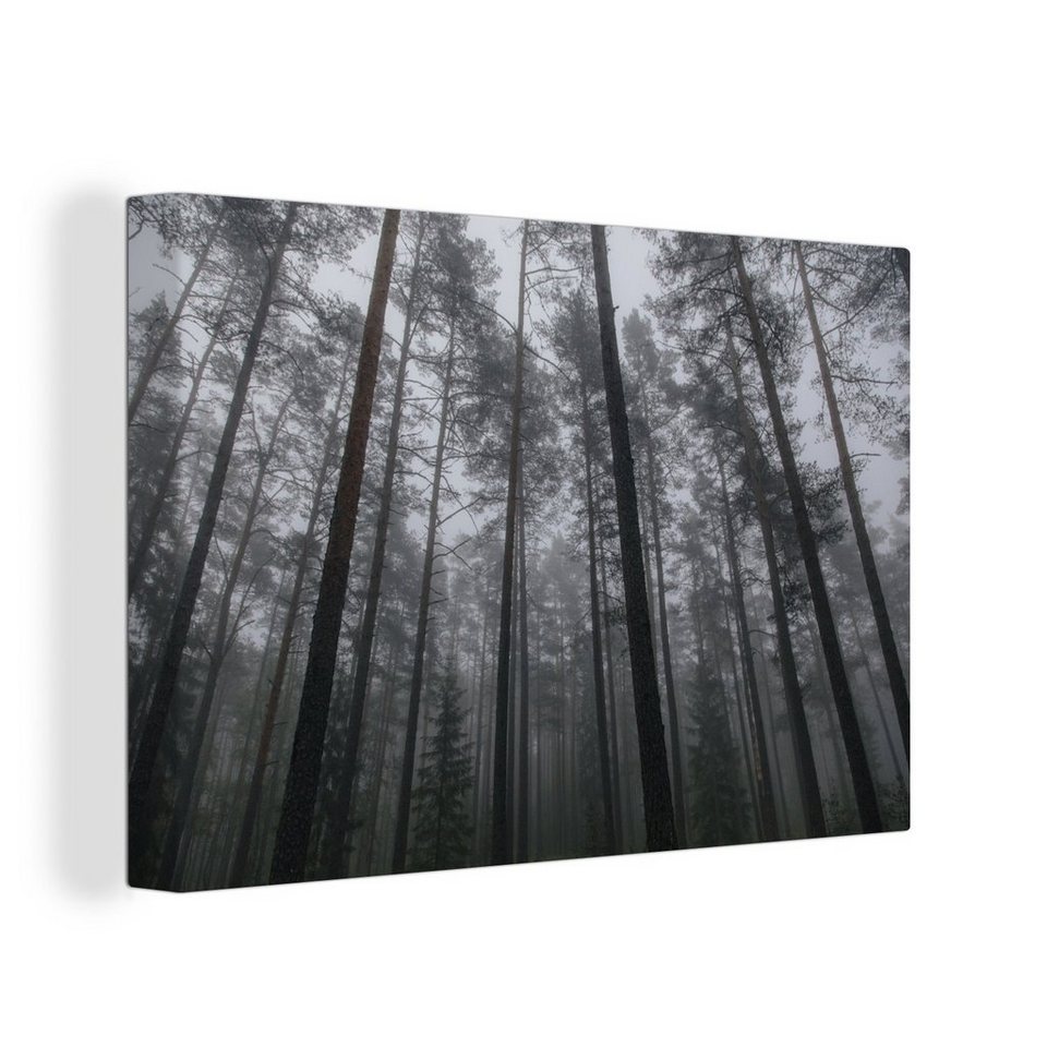Onemillioncanvasses® Leinwandbild Nebel Zwischen Den Hoch Aufragenden